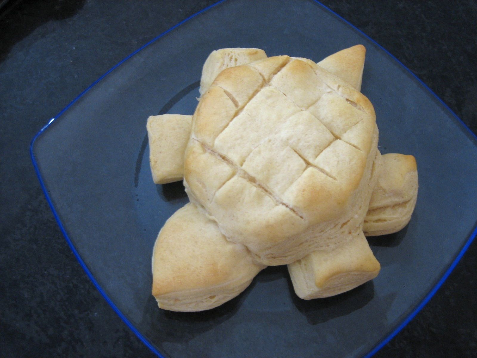 Turtle Biscuits (with Pictures) - Instructables