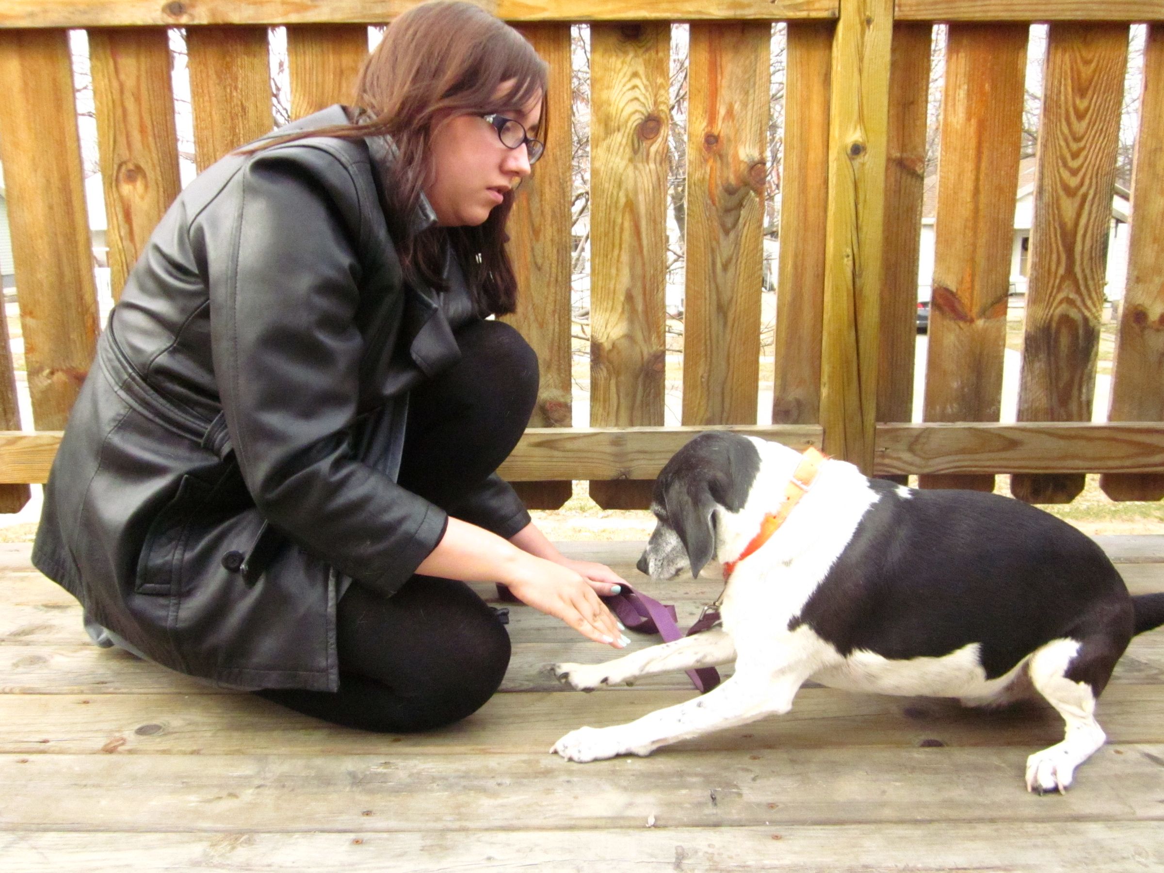 Basic Obedience Training for Dogs : 6 Steps (with Pictures) - Instructables