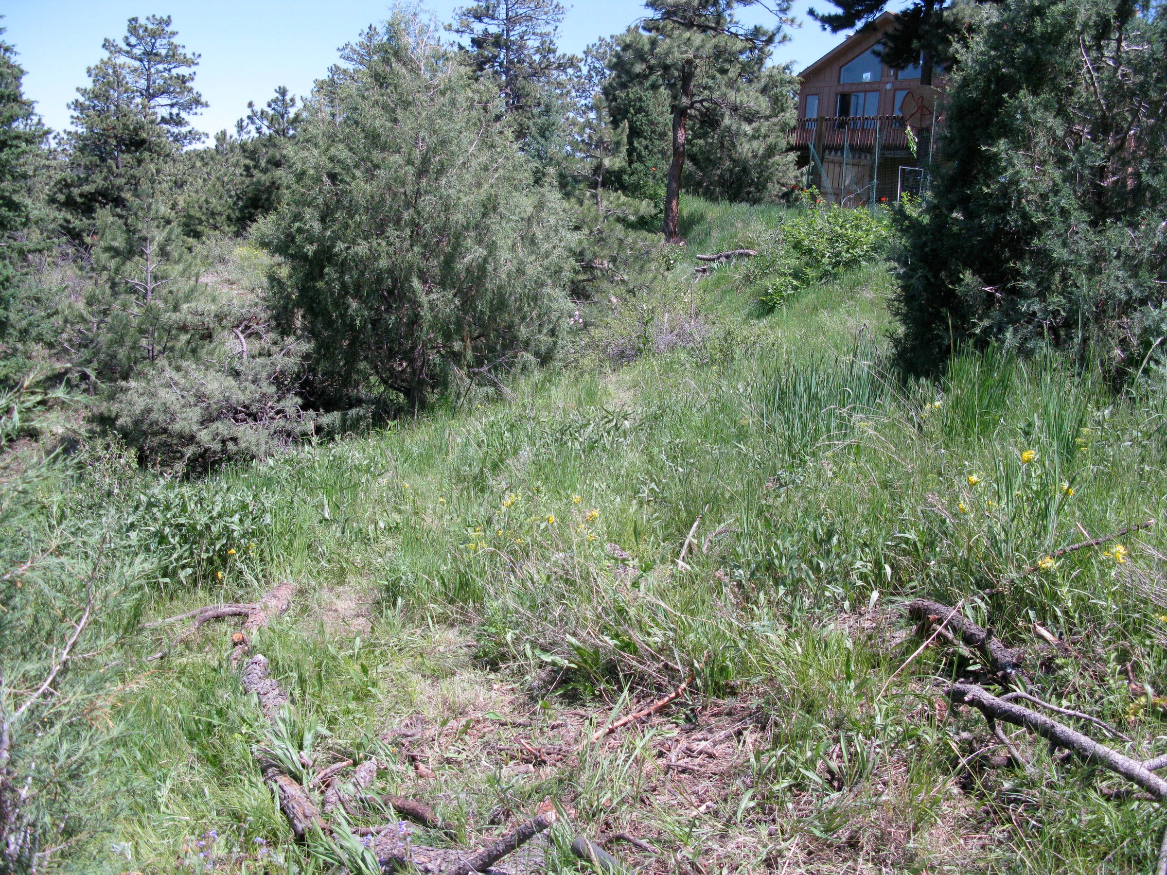 Bulid a Mountain Bike Trail : 7 Steps - Instructables