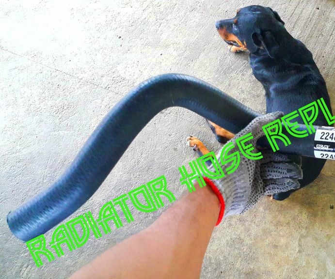 Replacing the Lower Radiator Hose on a Hyundai Trajet/sonata. : 4 Steps ...