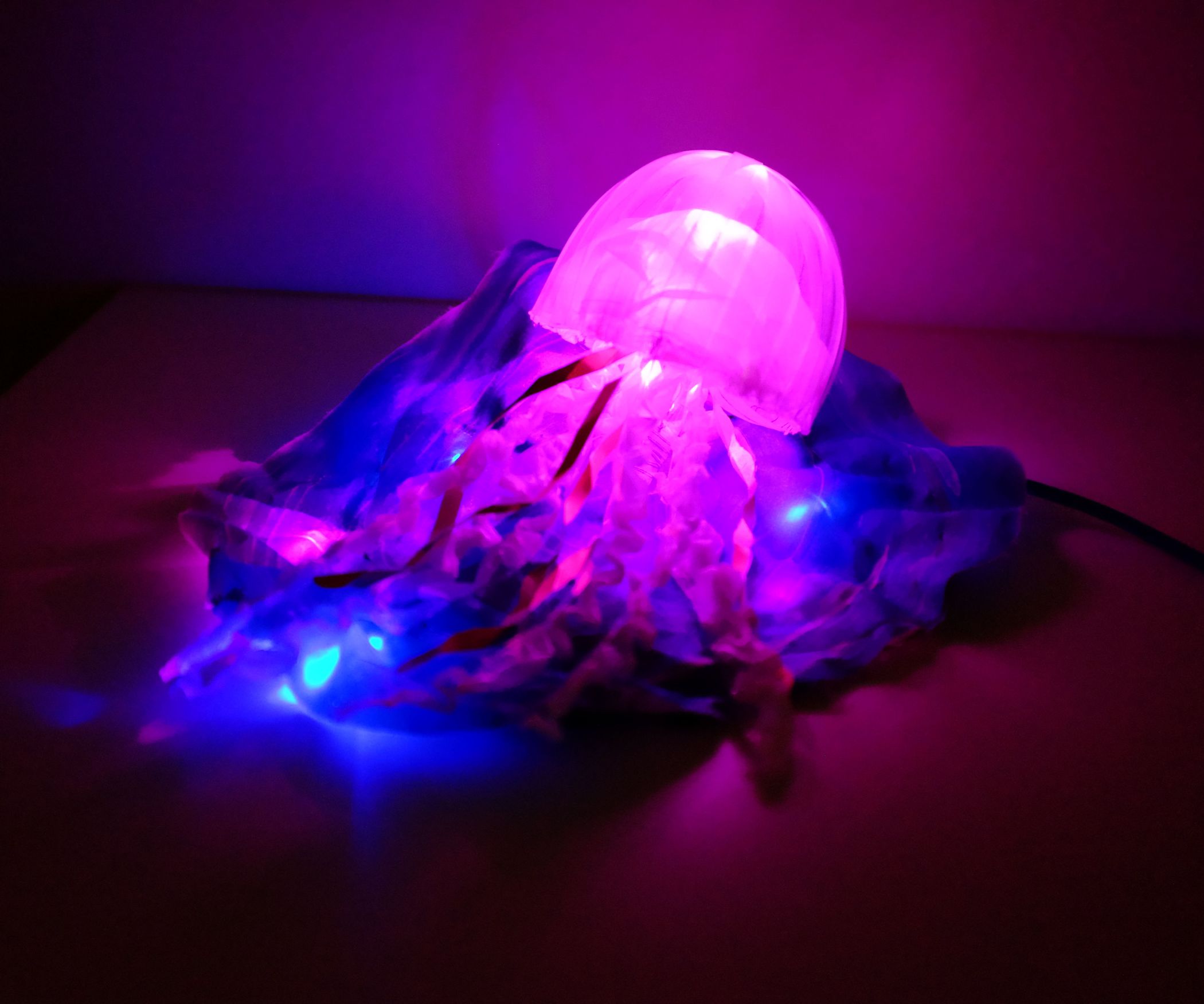 Jellyplastic : 9 Steps (with Pictures) - Instructables