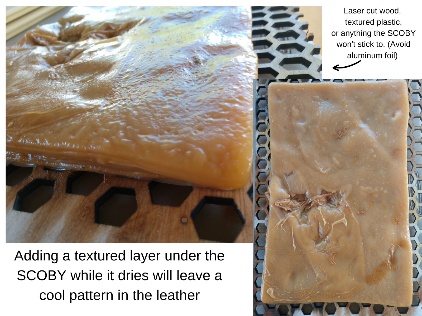 Growing a Leather-like Biomaterial in the Classroom From Kombucha : 17 ...