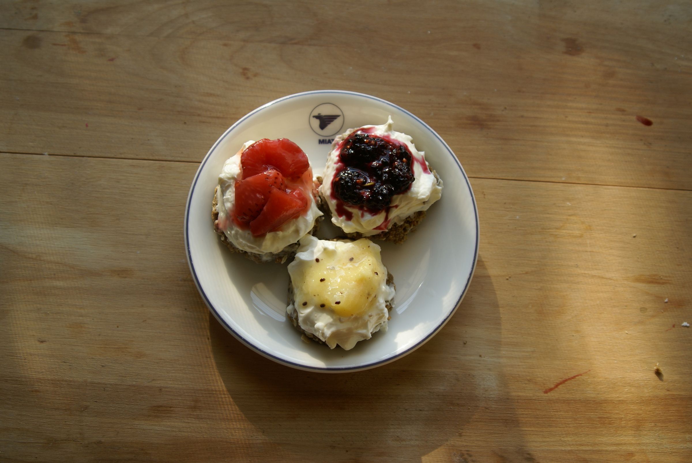 Dog Cheesecake Recipe : 9 Steps (with Pictures) - Instructables