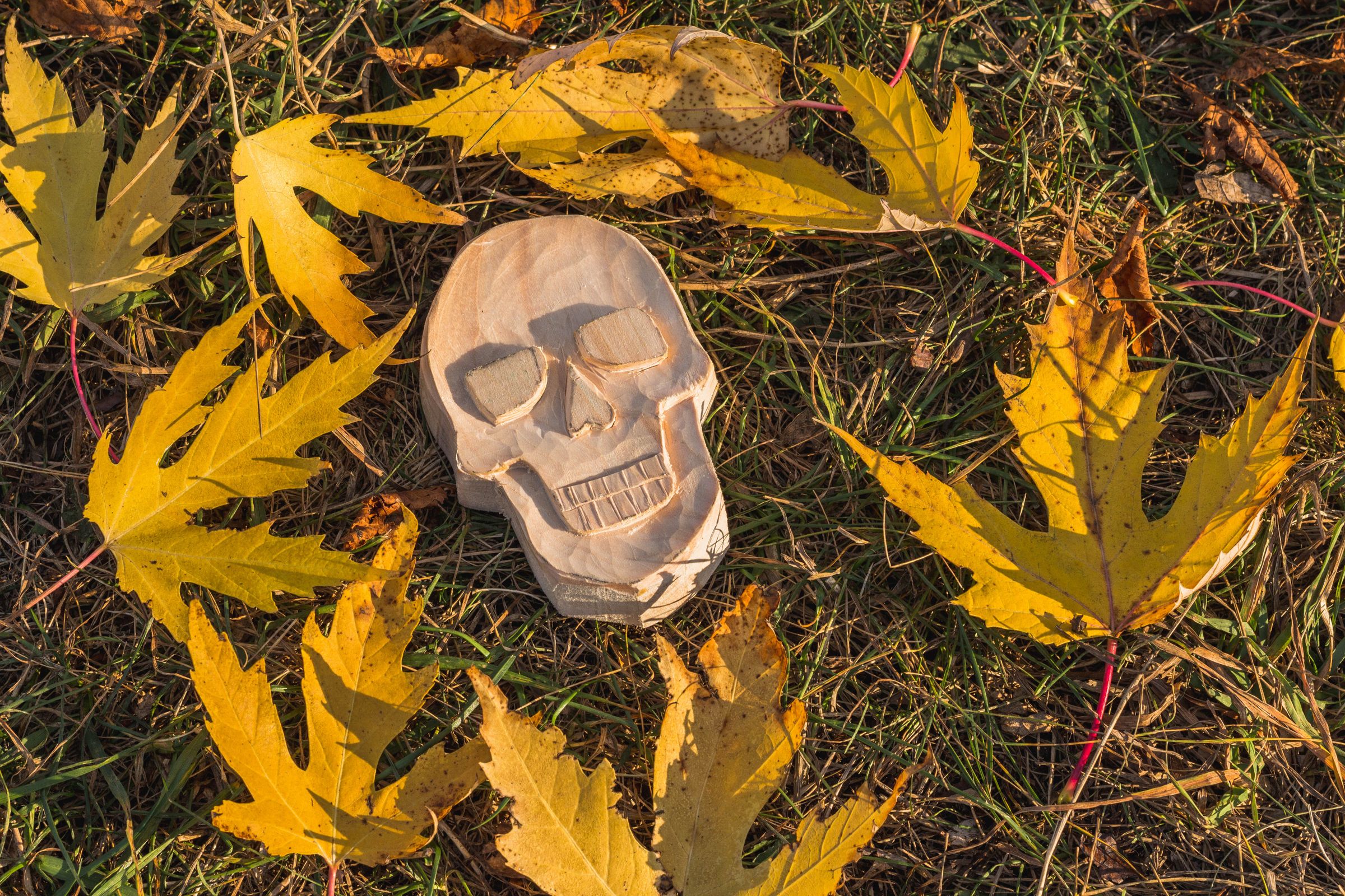 Carving a Skull Out of Wood I Wood Carving for Beginners : 7 Steps ...