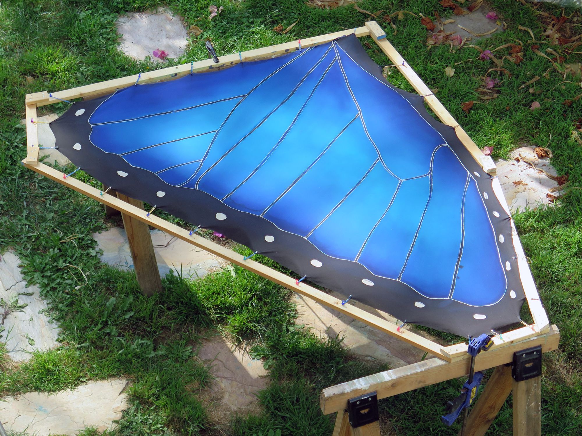 DIY Butterfly Wings : 18 Steps (with Pictures) - Instructables