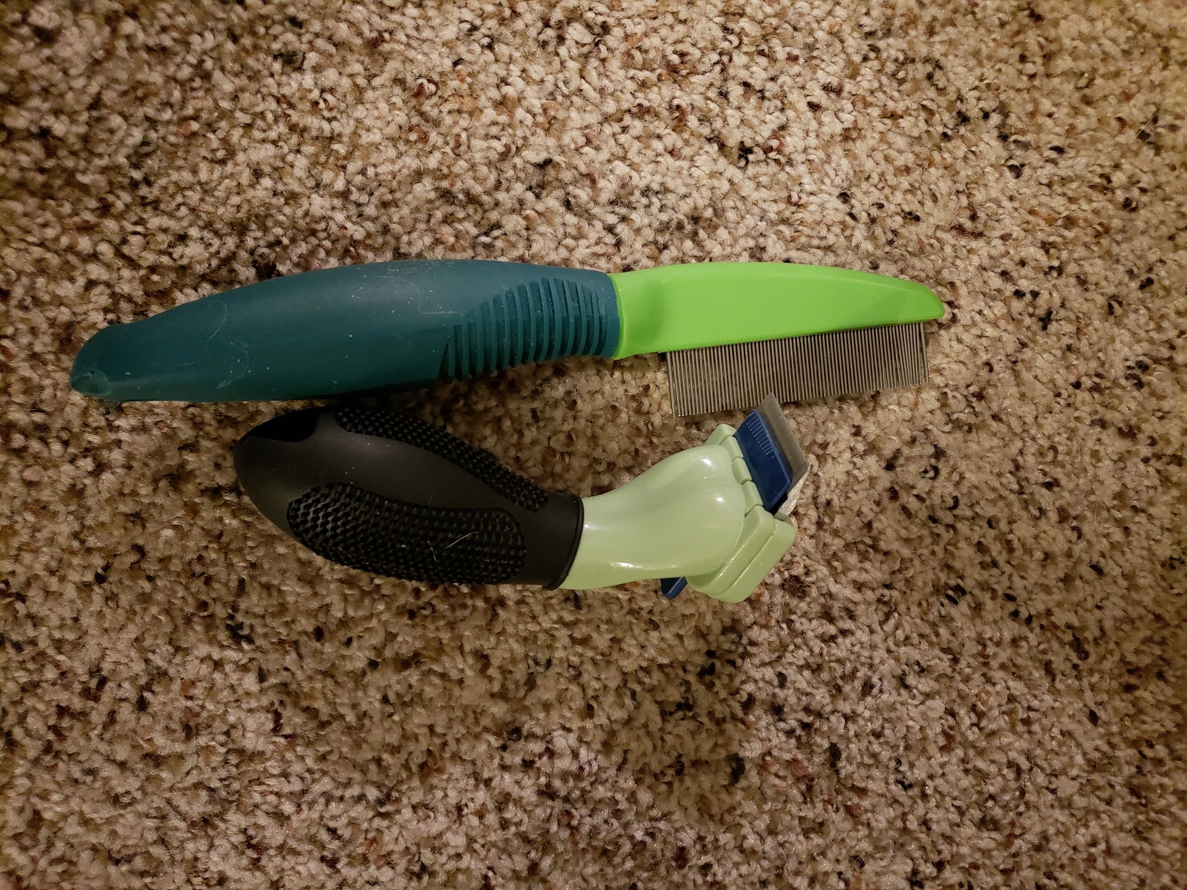 Basic Rabbit Care 101 : 9 Steps - Instructables