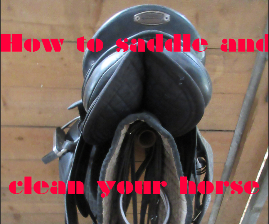 Getting Ready for Horse Riding! : 11 Steps (with Pictures) - Instructables