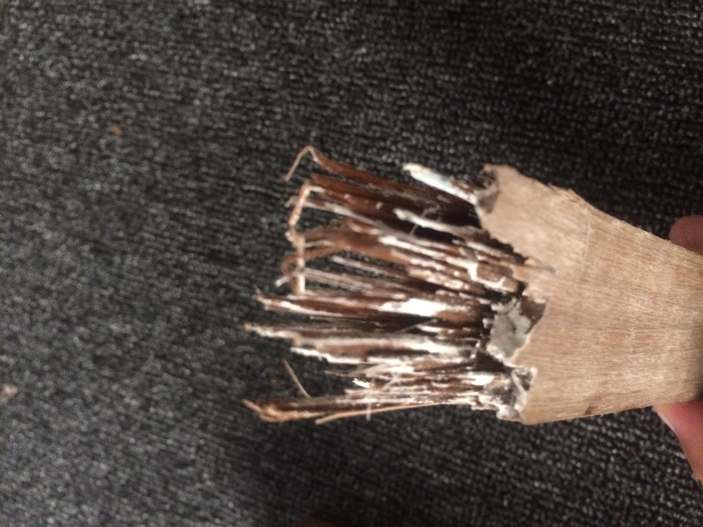 Secret Wood Ring : 10 Steps (with Pictures) - Instructables