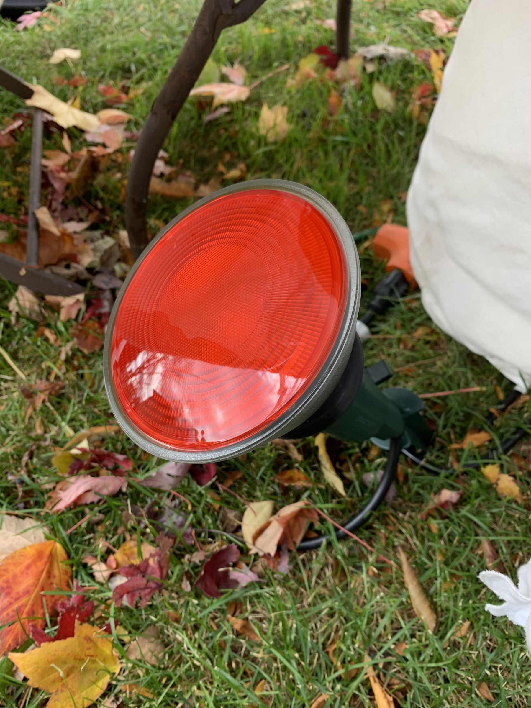 Skeleton Tea Party Decorations : 7 Steps (with Pictures) - Instructables