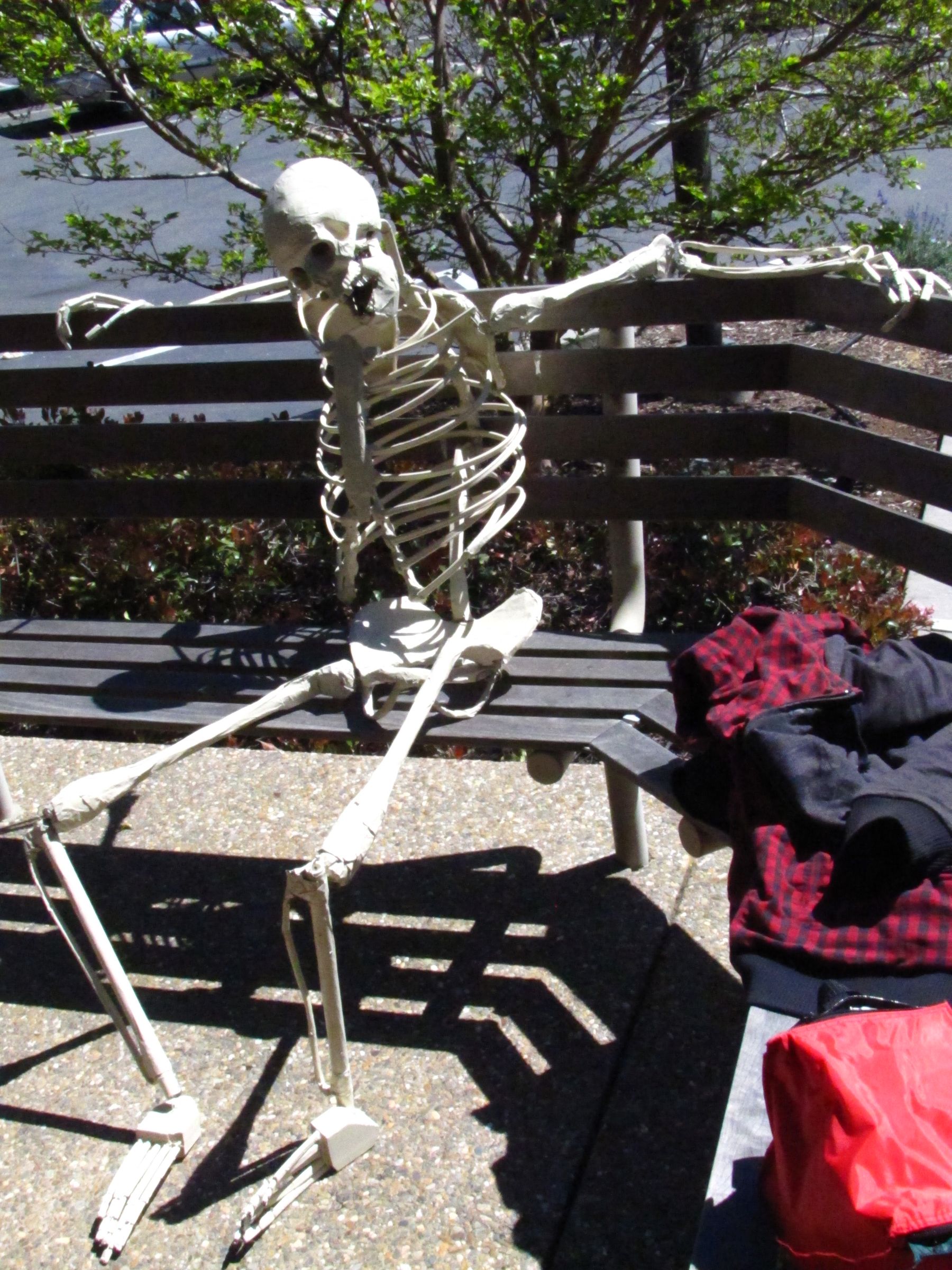 Skeleton Project - Instructables