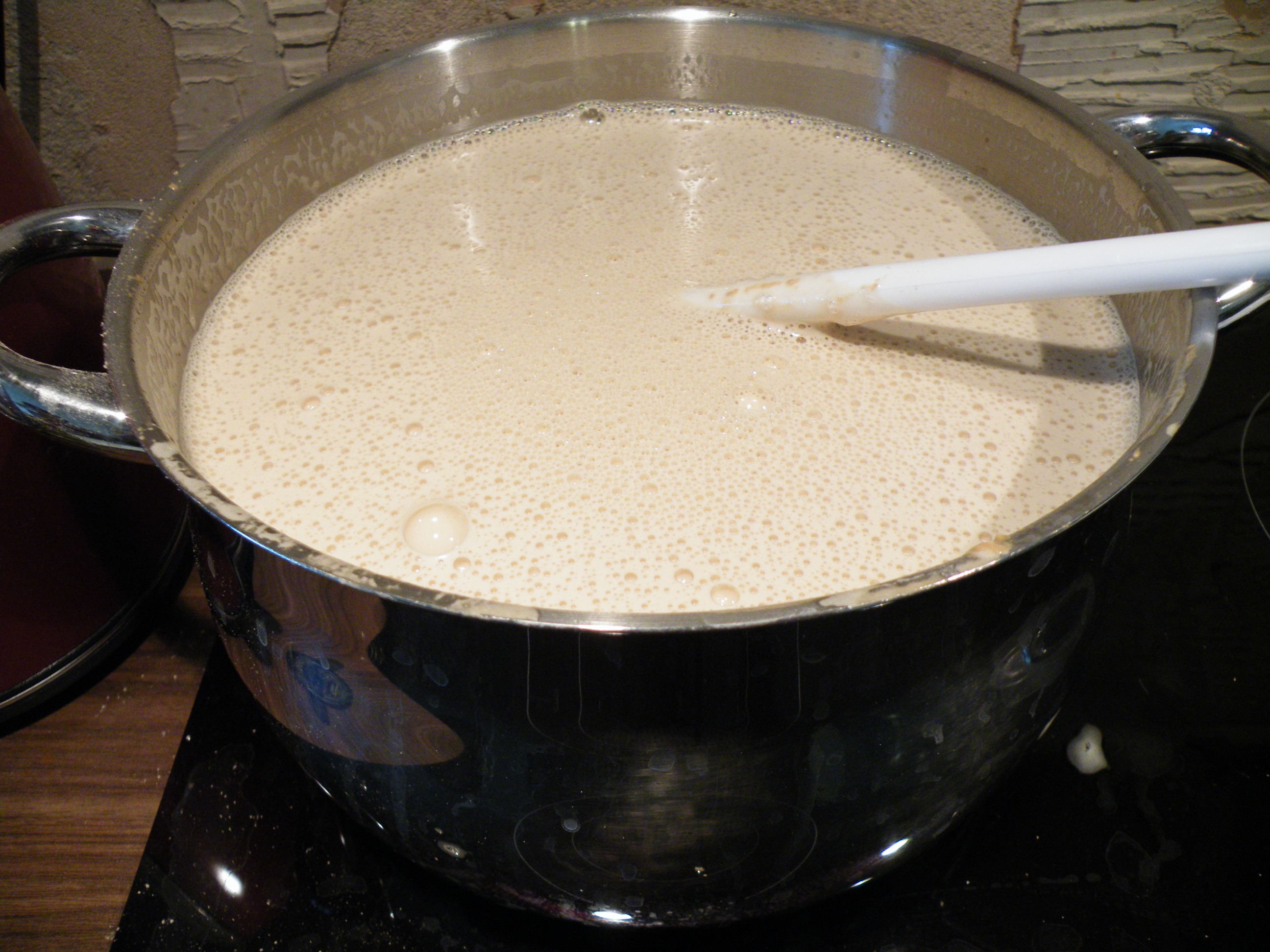 Simple Beer #1 : 11 Steps (with Pictures) - Instructables