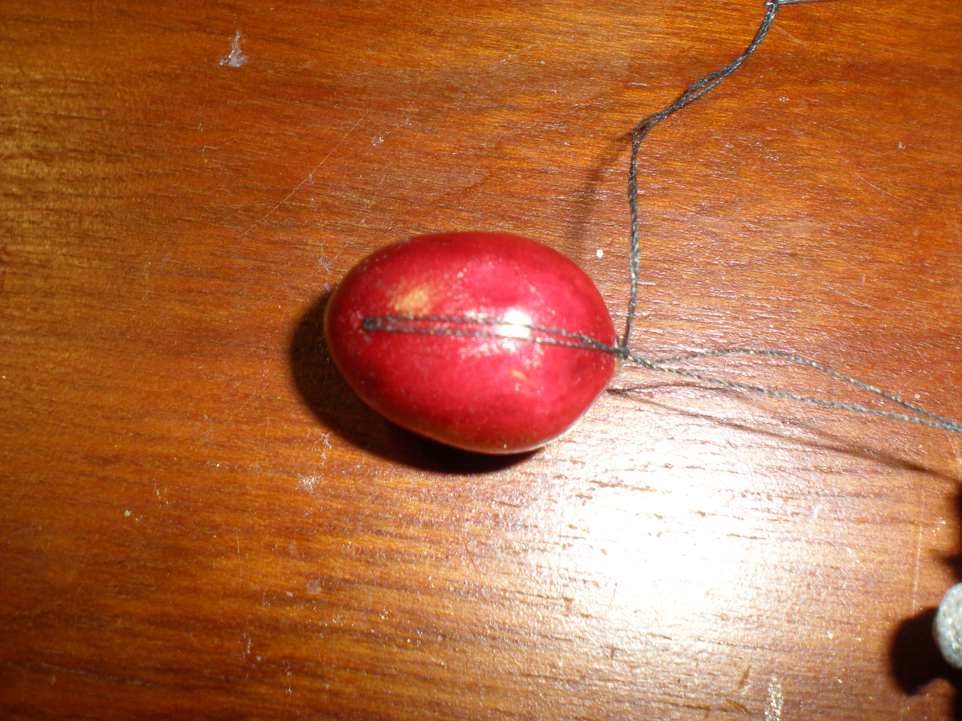 Metallic Popcorn Strings : 3 Steps (with Pictures) - Instructables