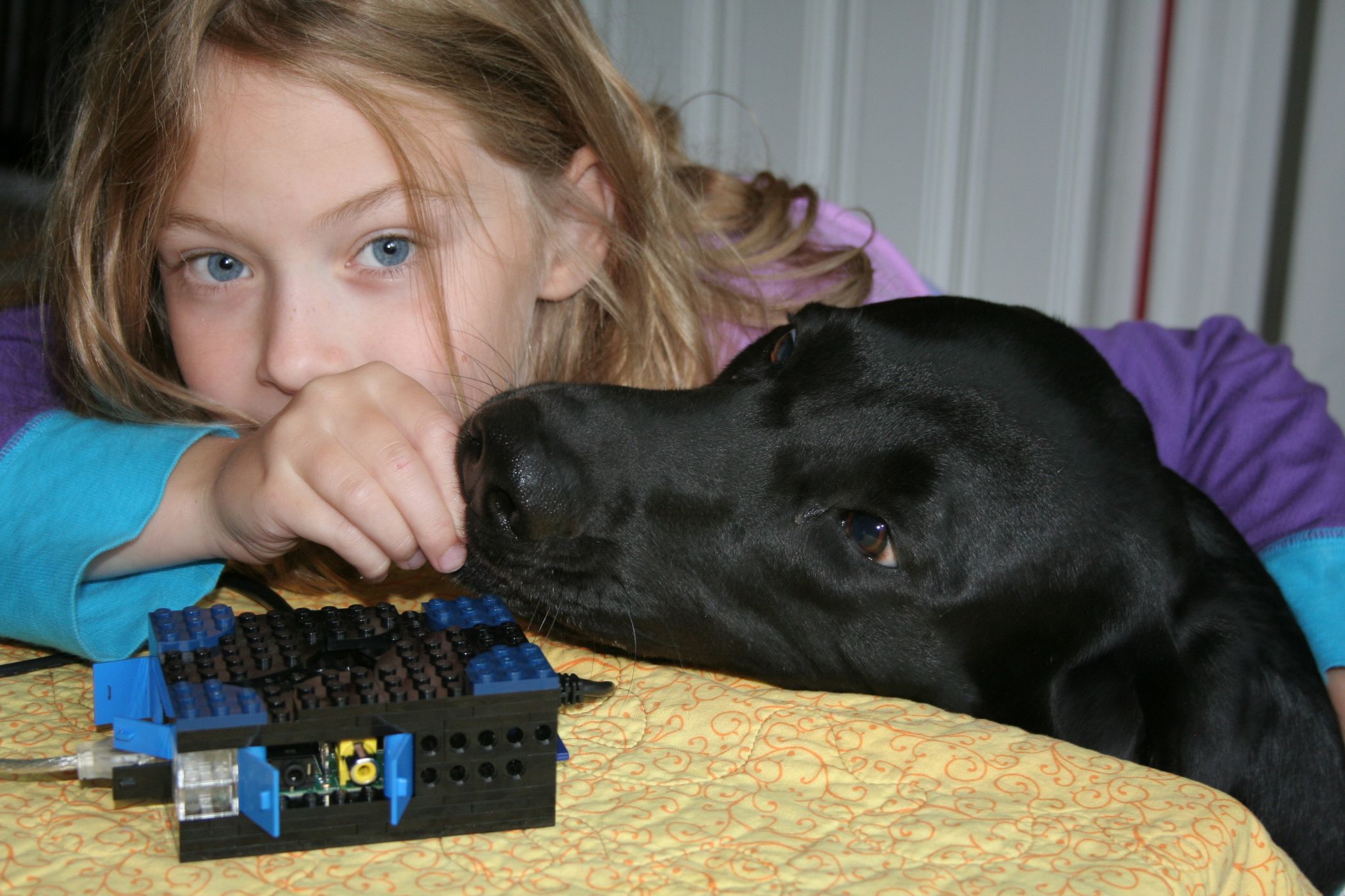 Lego Raspberry Pi Case (for a & B Model) : 8 Steps (with Pictures ...