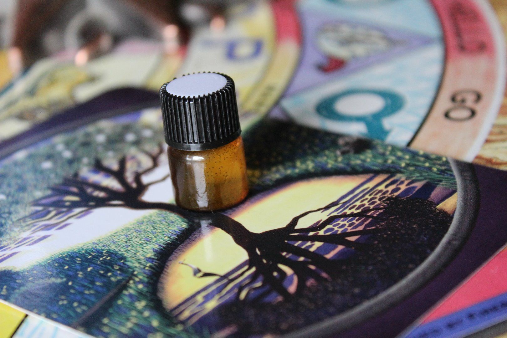 Homemade Herb Oils : 5 Steps (with Pictures) - Instructables