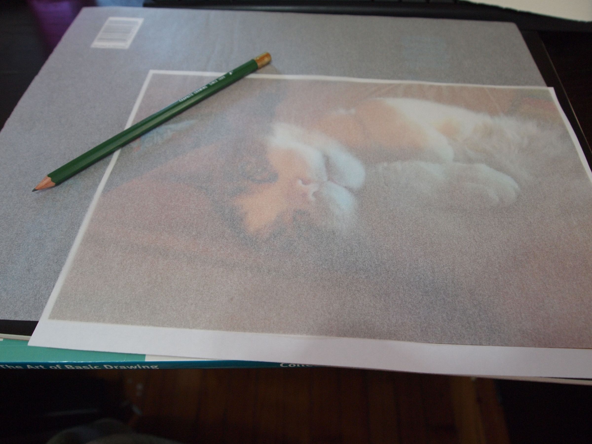 Watercolor Pet Portrait How-To : 7 Steps (with Pictures) - Instructables