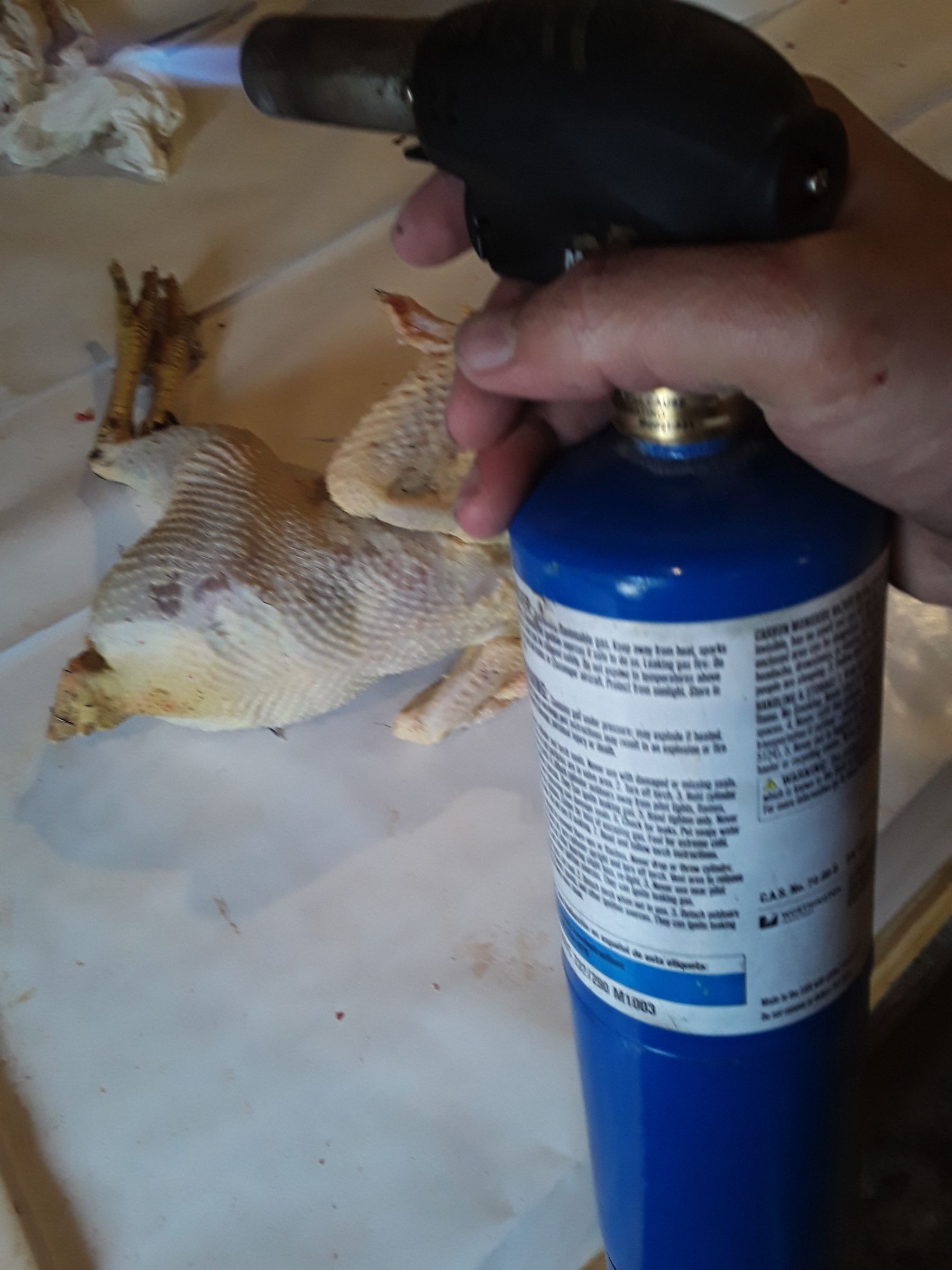 How to Butcher a Chicken : 8 Steps - Instructables