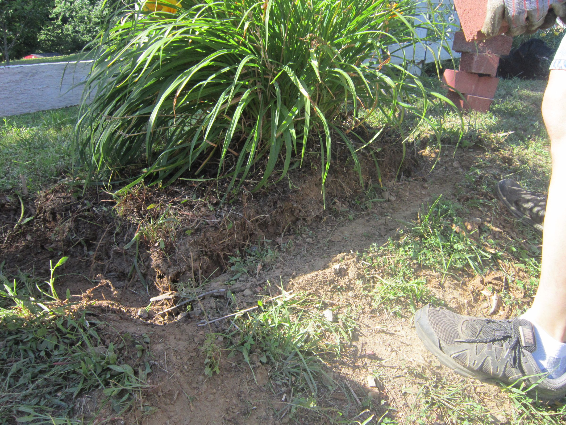 30 Minute Flowerbed : 8 Steps (with Pictures) - Instructables