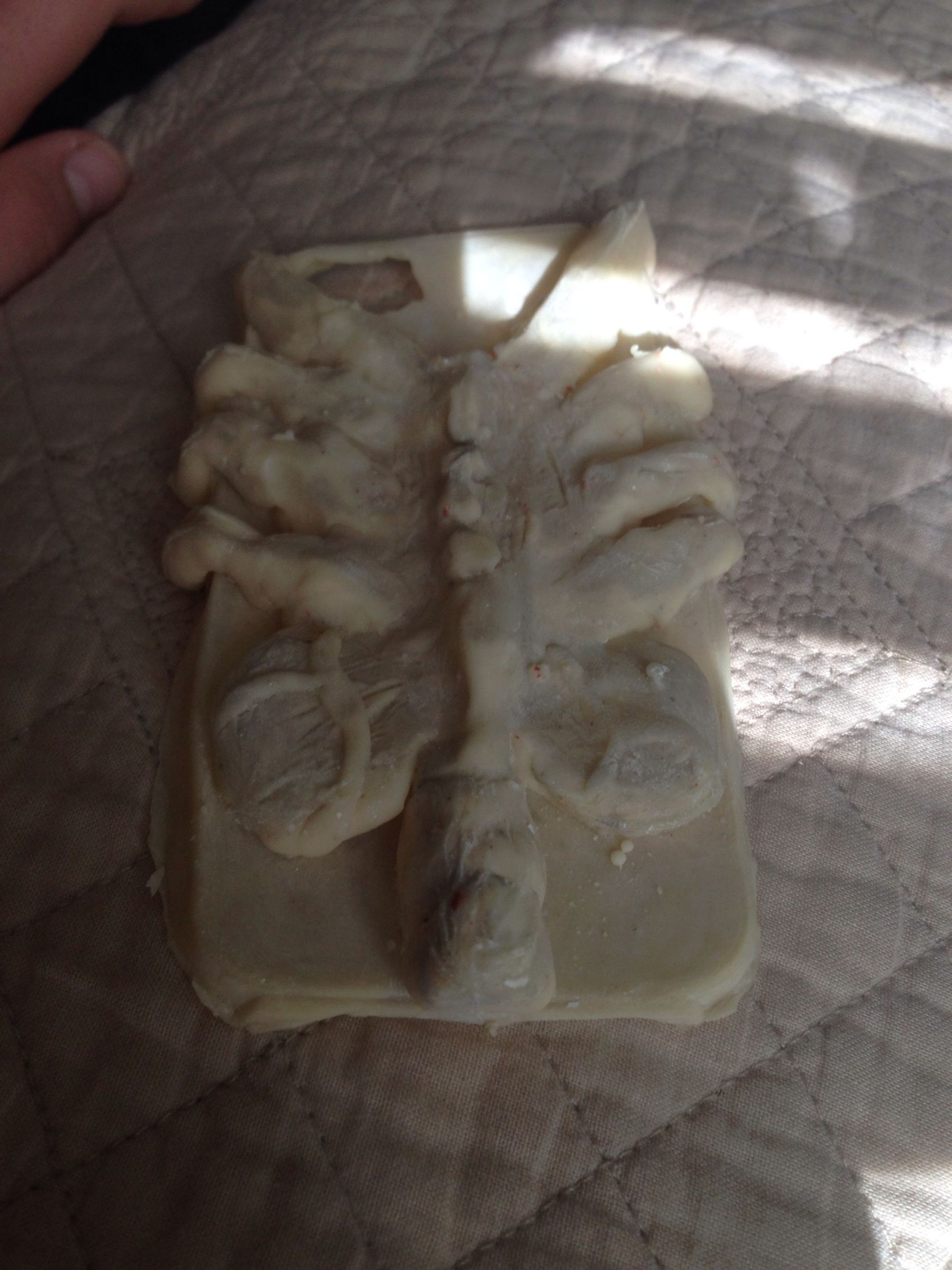 Face Hugger Phone Case : 5 Steps - Instructables