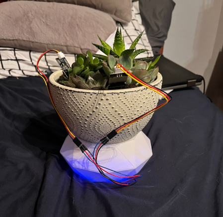 LED Plant Hydration Tracker : 4 Steps (with Pictures) - Instructables
