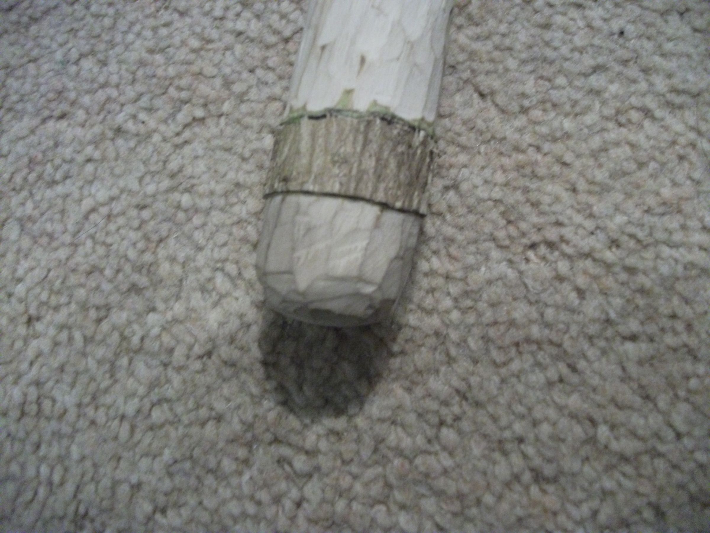 How to Whittle a Staff or a Walking Stick. :2) : 6 Steps - Instructables