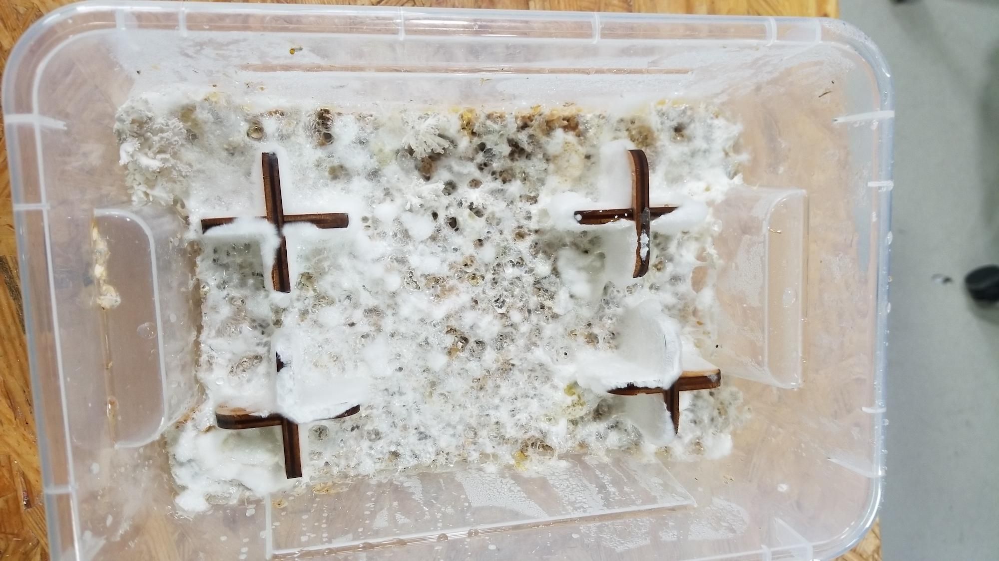 Mycelium Stool (prototype) : 8 Steps - Instructables