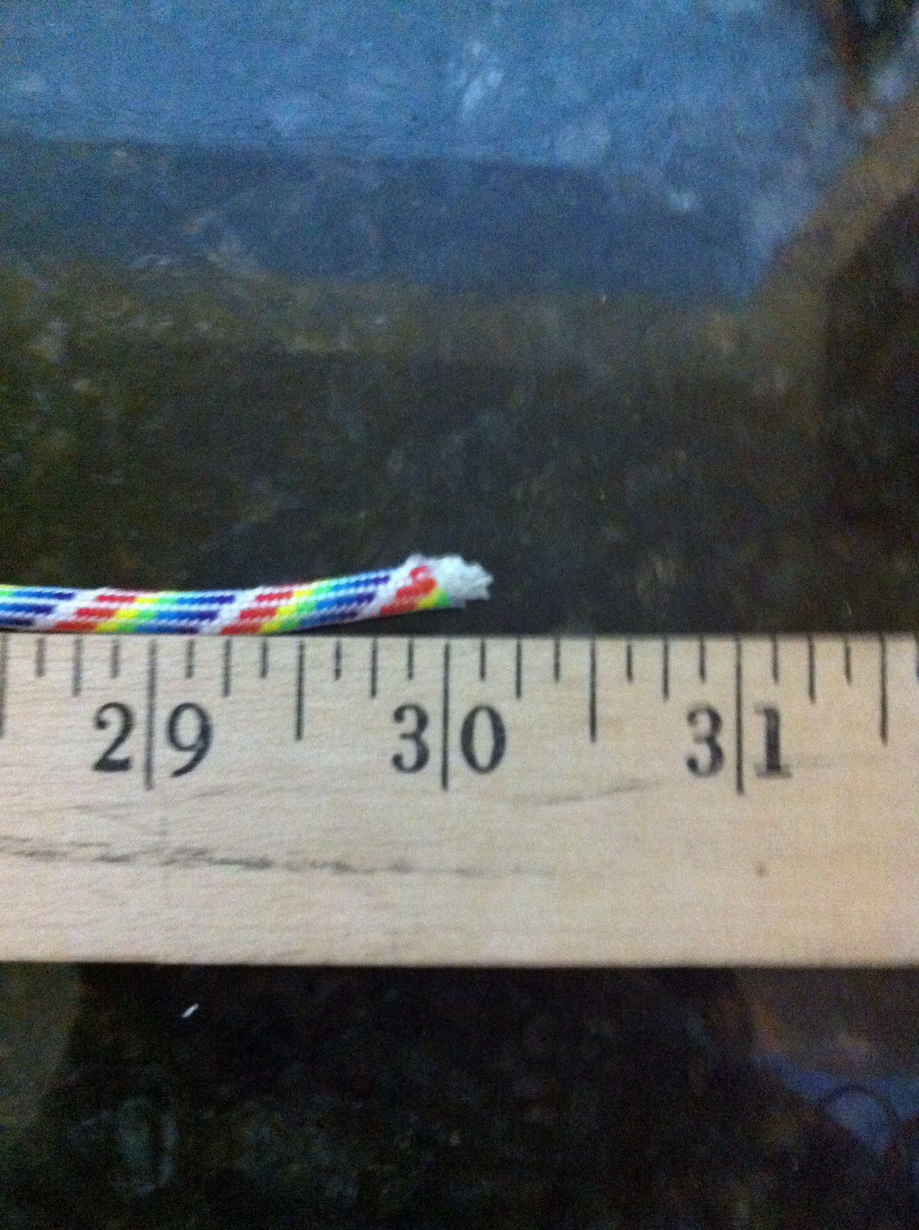 Paracord MAN!! : 7 Steps - Instructables