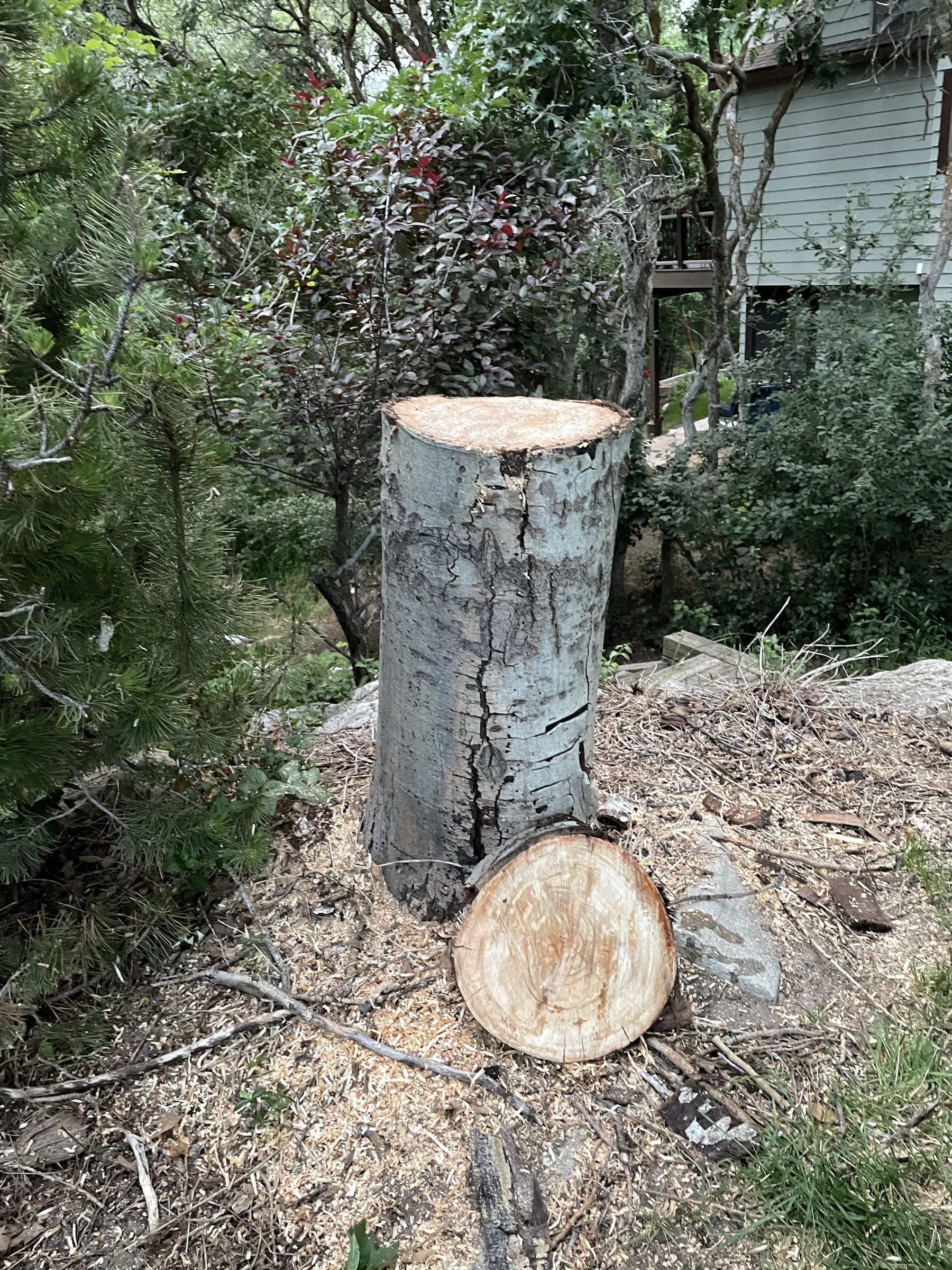 Transform a Tree Stump Into a Planter Box : 11 Steps (with Pictures) - Instructables