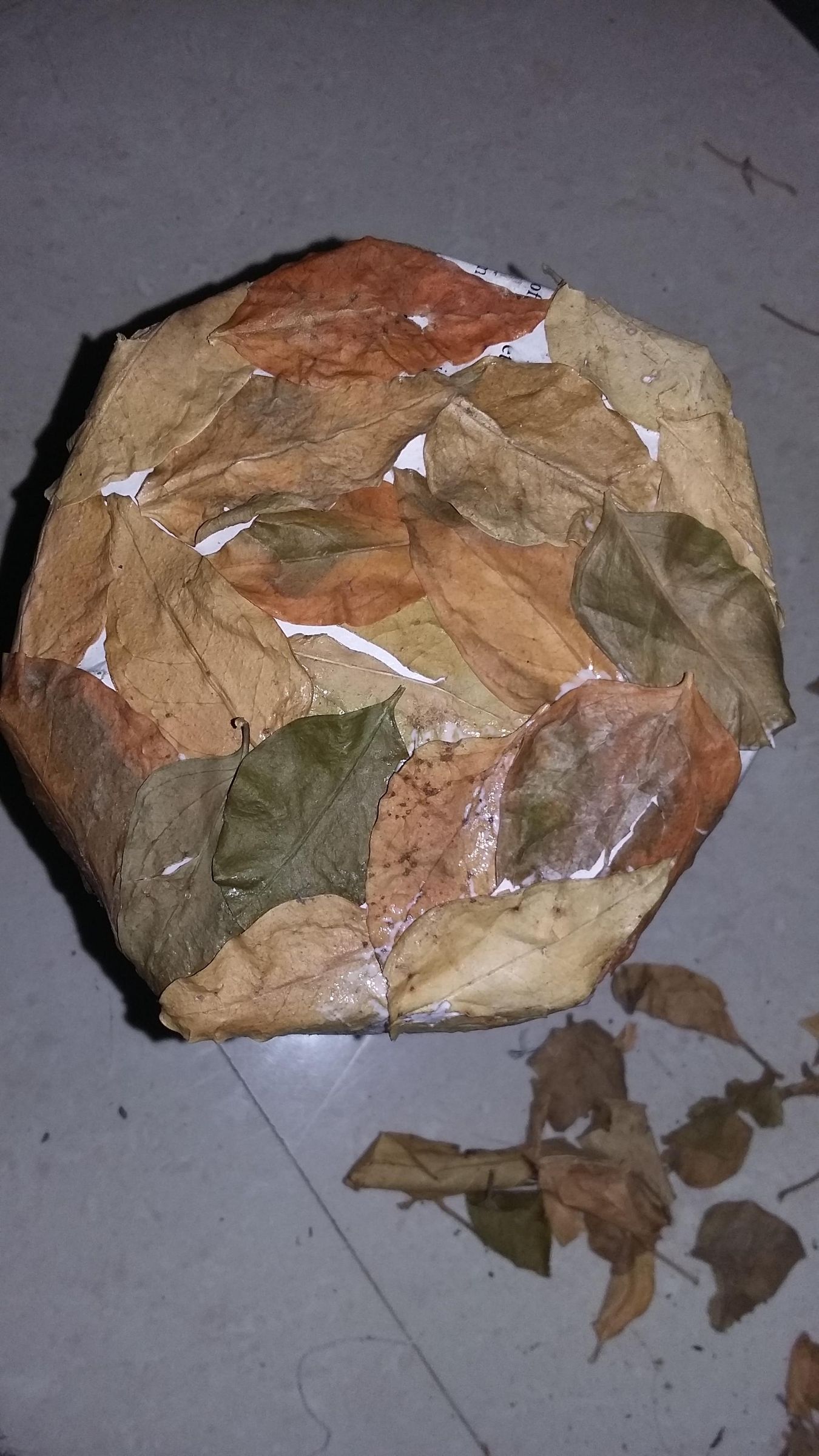 Cardboard Birds Nest Box : 12 Steps (with Pictures) - Instructables