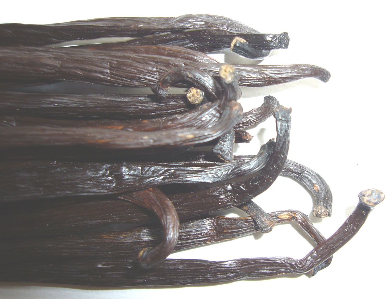 Make Vanilla Extract : 23 Steps (with Pictures) - Instructables