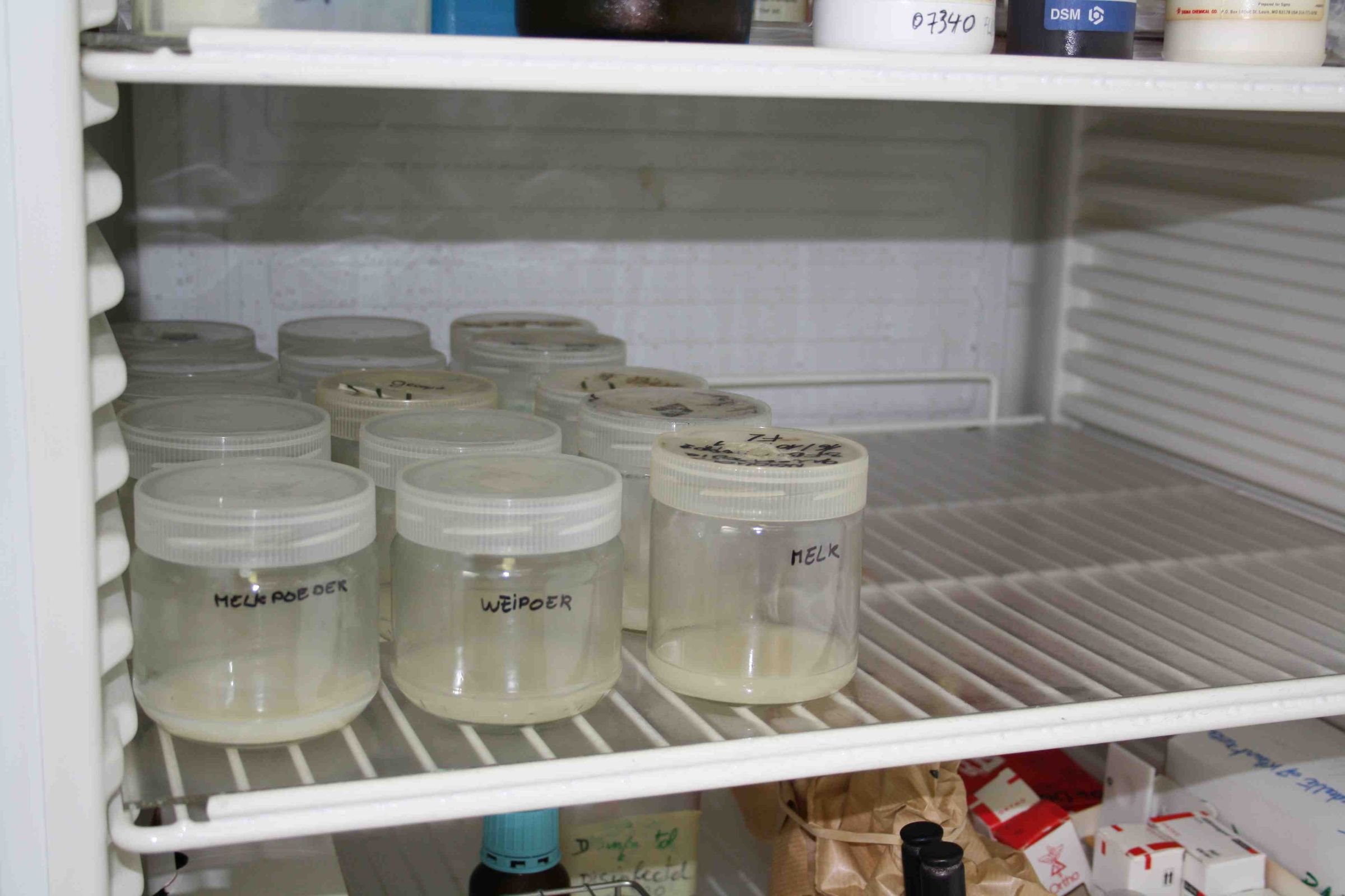 Cook Your Own Microbial Growth Plates : 8 Steps (with Pictures ...