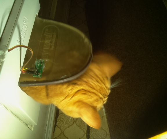 Automatic Cat Flap Monitor With Intrusion Detection and Dissuasion : 6 ...