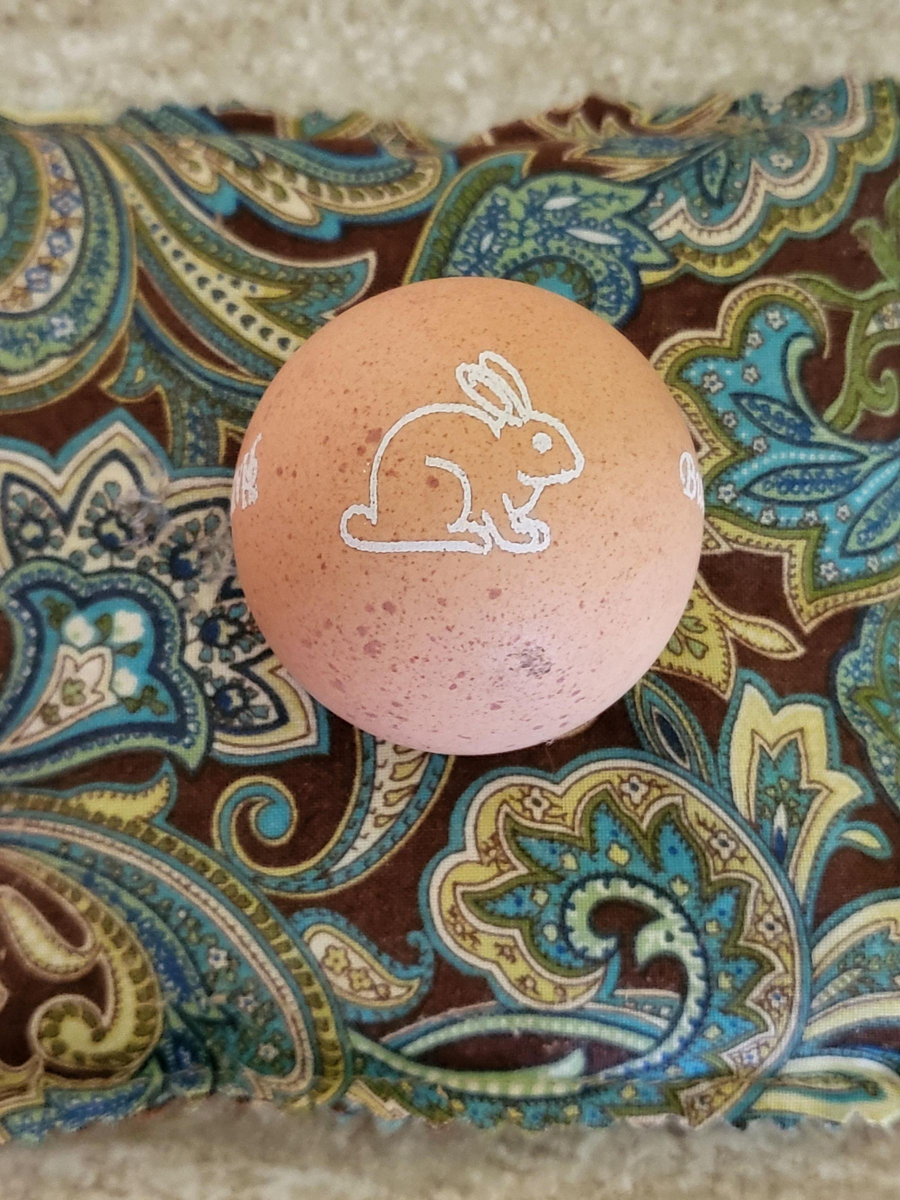 Laser-engraved Eggs : 5 Steps - Instructables