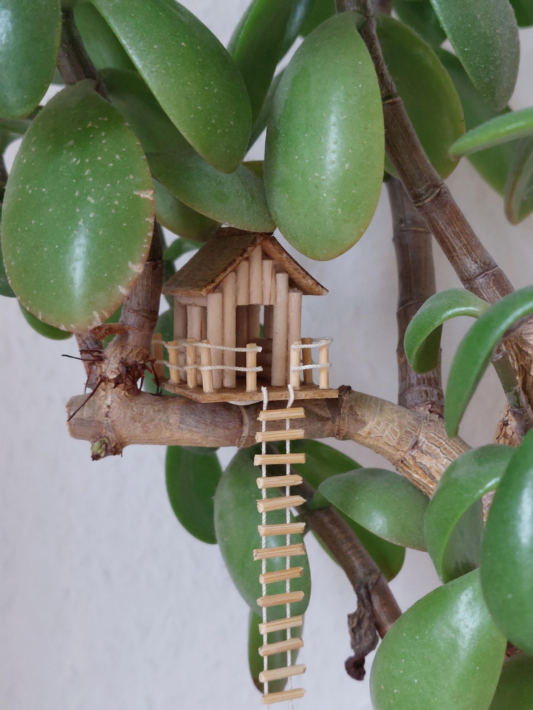 Tiny Tree House : 6 Steps (with Pictures) - Instructables