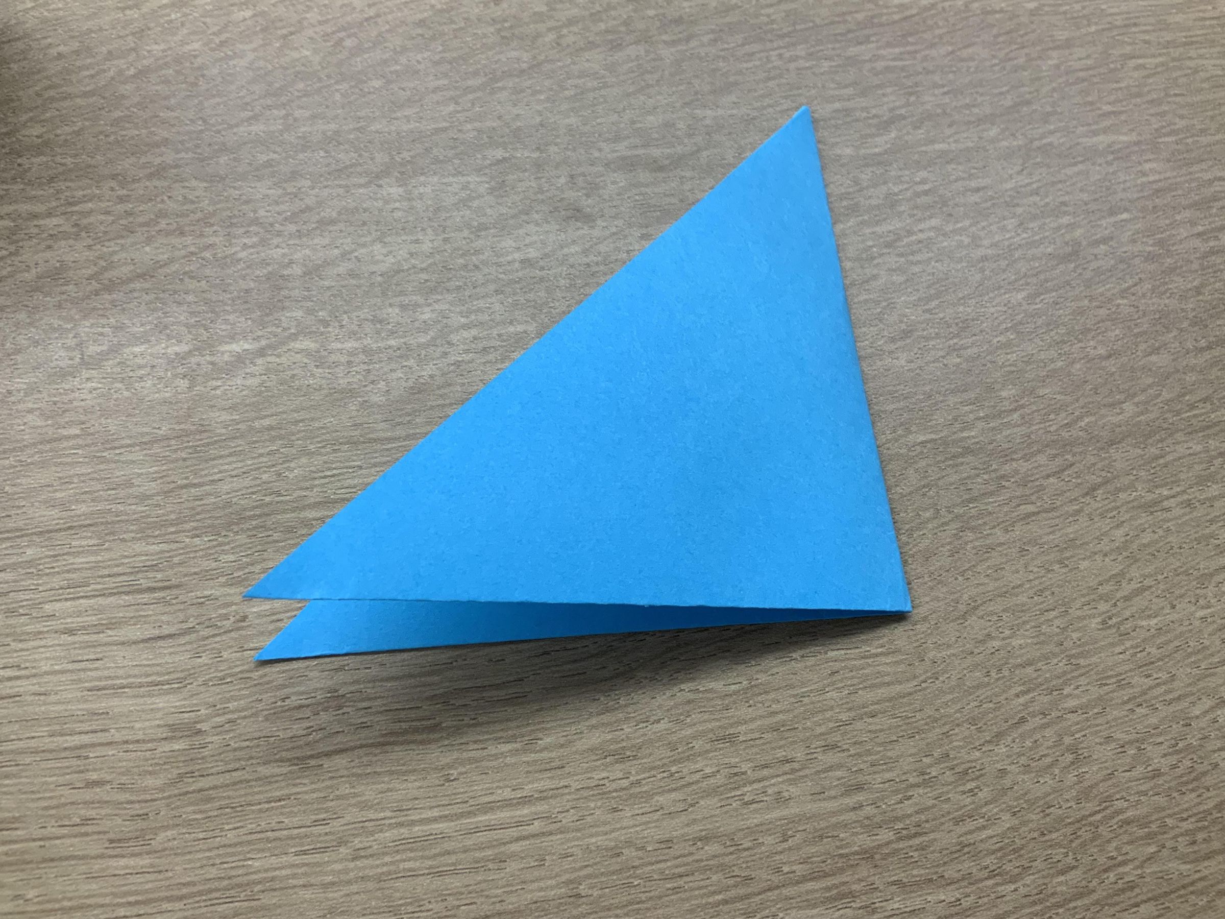 Origami Paper Bird : 10 Steps - Instructables