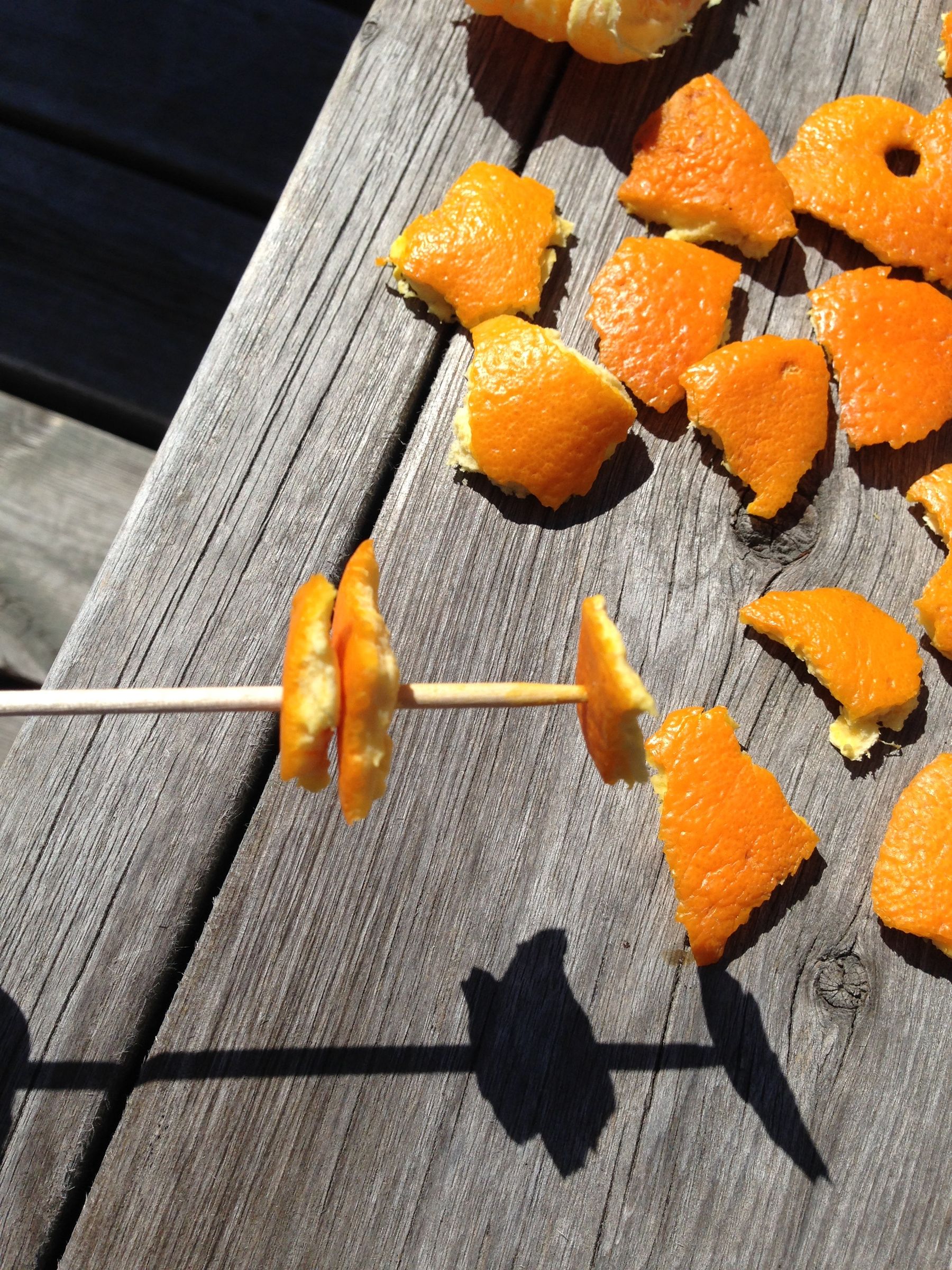 Orange Peel Skewers : 4 Steps (with Pictures) - Instructables
