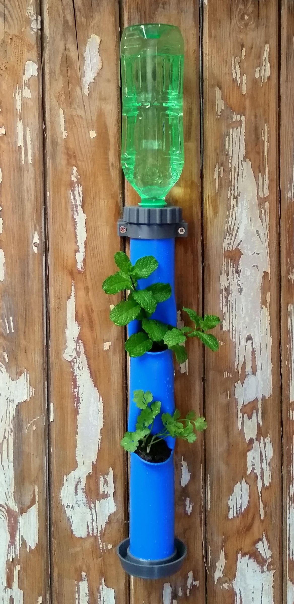 Self Watering PVC Pipe Planter : 10 Steps (with Pictures) - Instructables