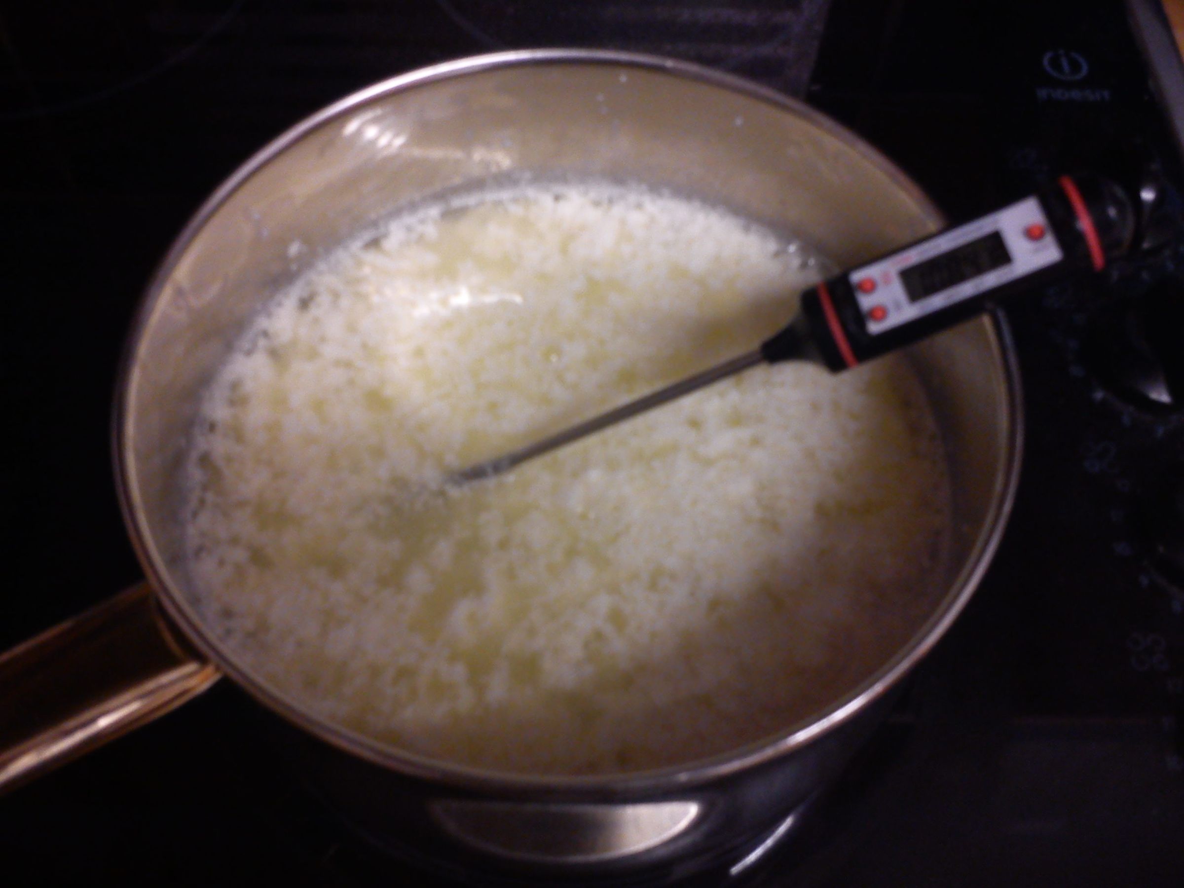How to Make Great Homemade Mozzarella : 13 Steps (with Pictures ...