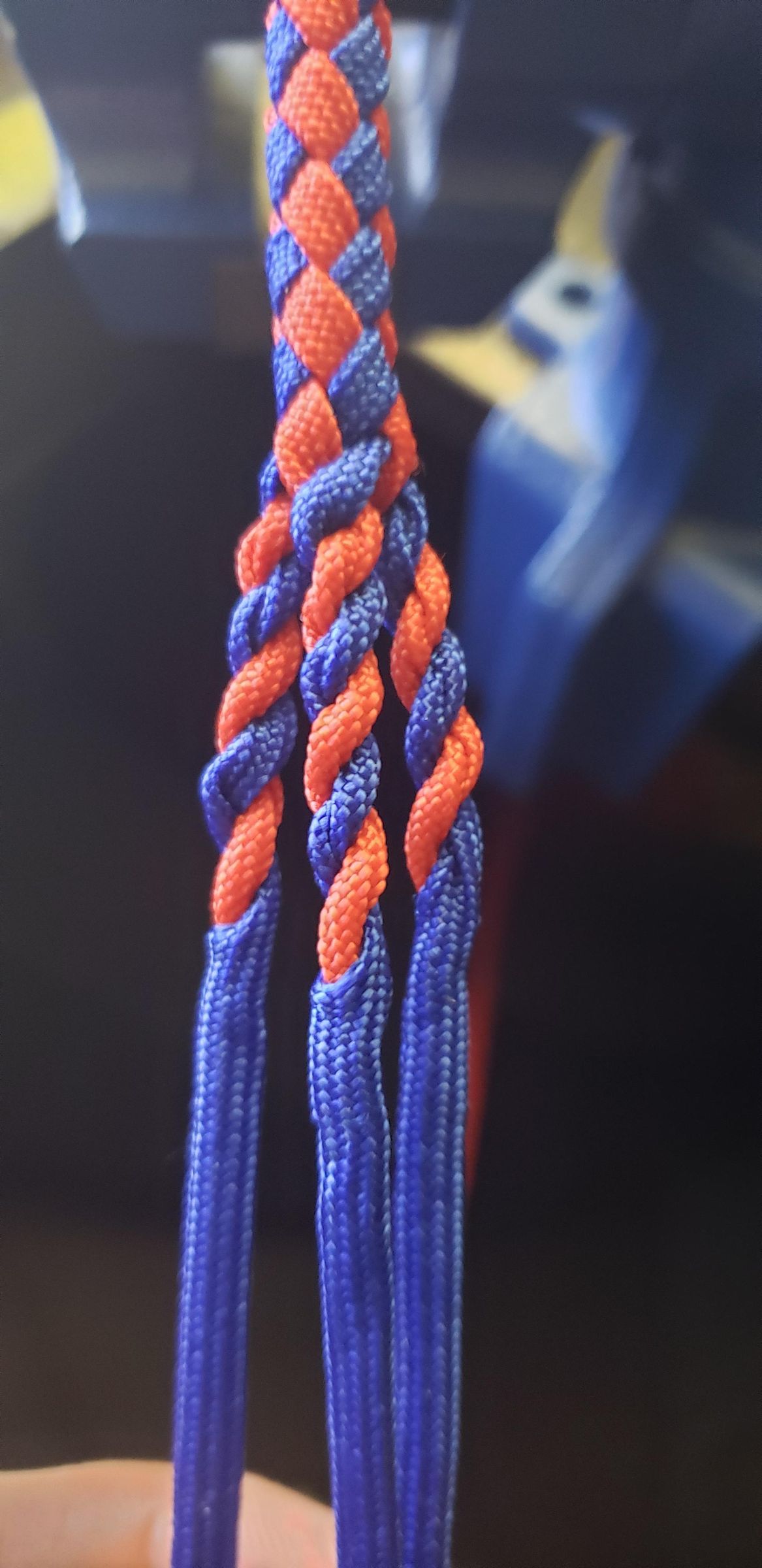 Tygra's Bolo-Whip With Paracord in 16 Plait : 9 Steps (with Pictures ...