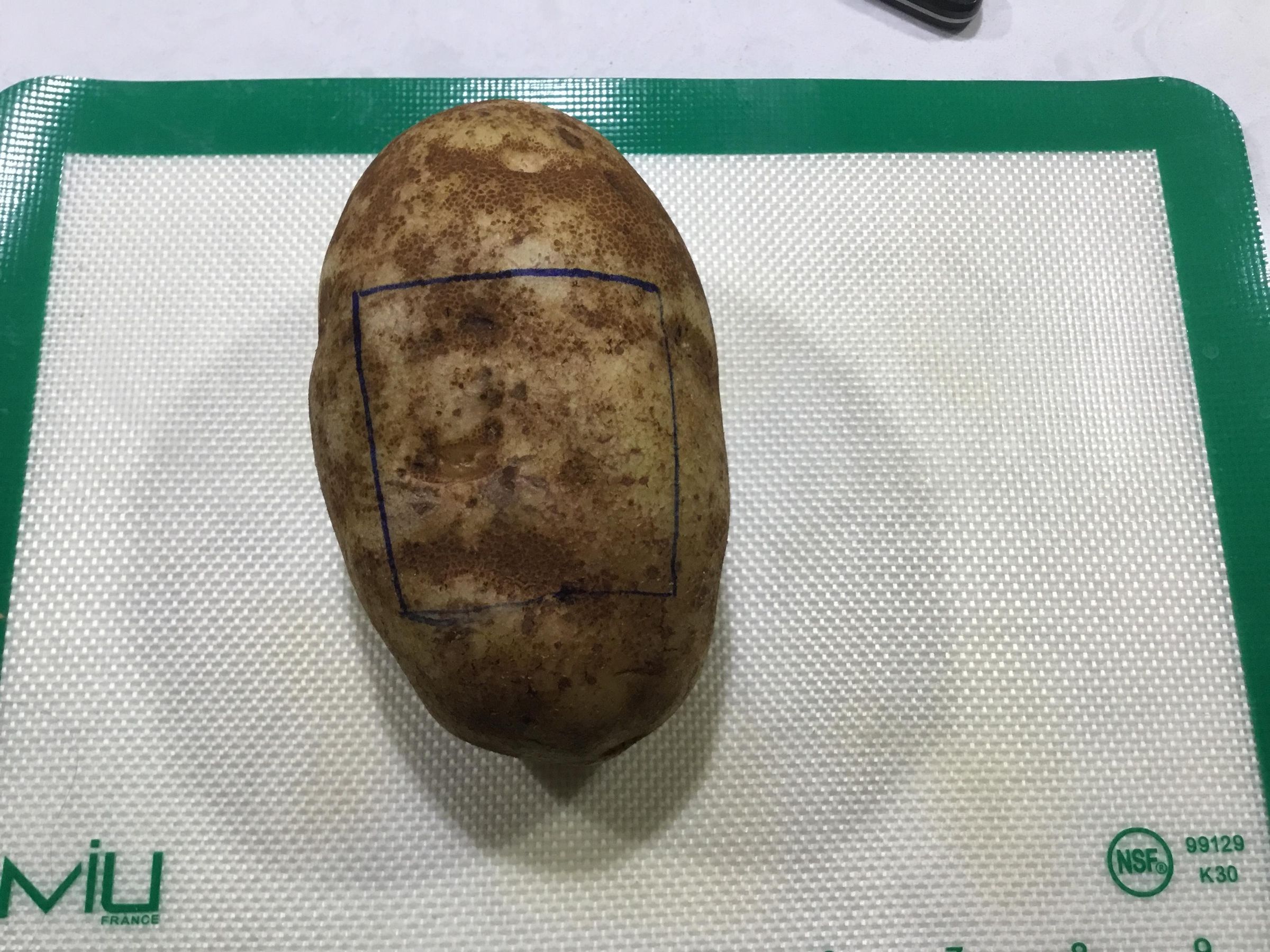 🦜🦜🥔🥔🥔🥔🥔🥔Potato Bird Feeder (2.0v)🥔🥔🥔🥔🥔🥔🥔🦜🦜 : 7 Steps - Instructables