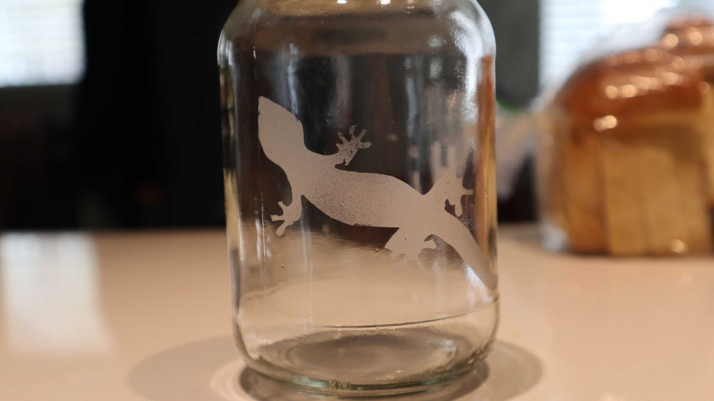 DIY Sandblasting Cabinet and Etching Glass : 4 Steps (with Pictures ...