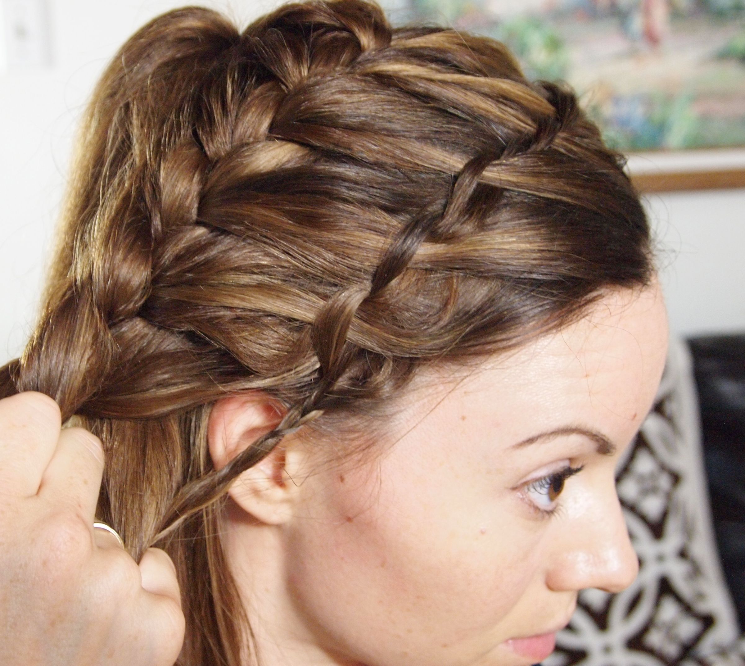 Double-Braided Updo Hairstyle : 3 Steps (with Pictures) - Instructables