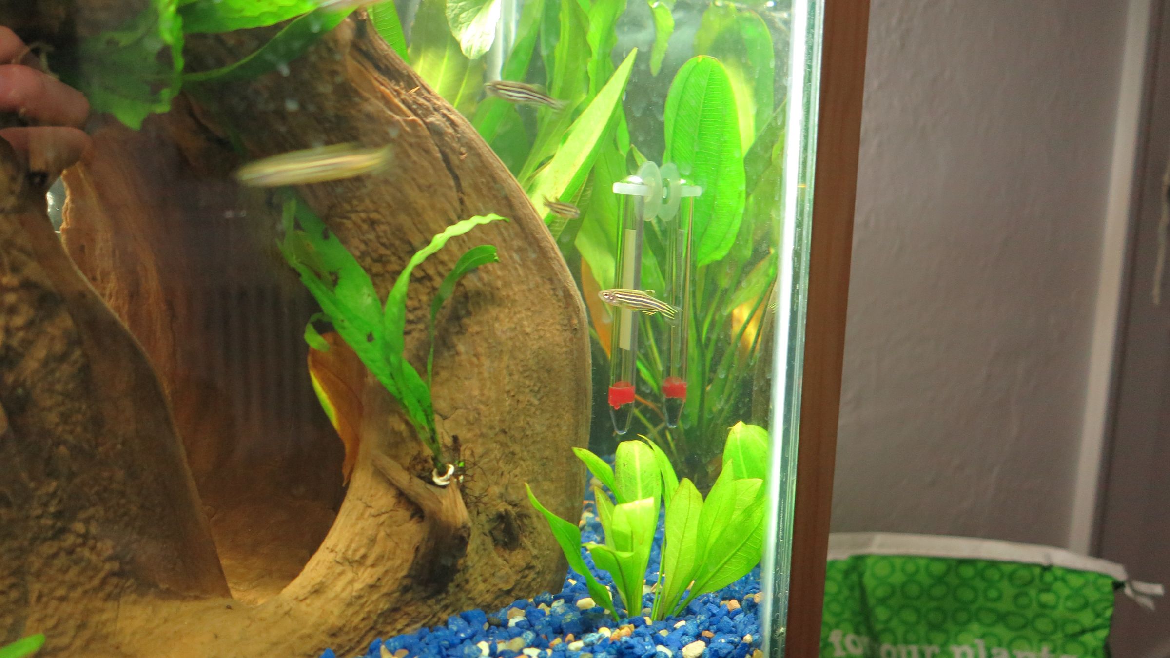 Ebb and Flow Aquaponics for the Office : 12 Steps (with Pictures ...
