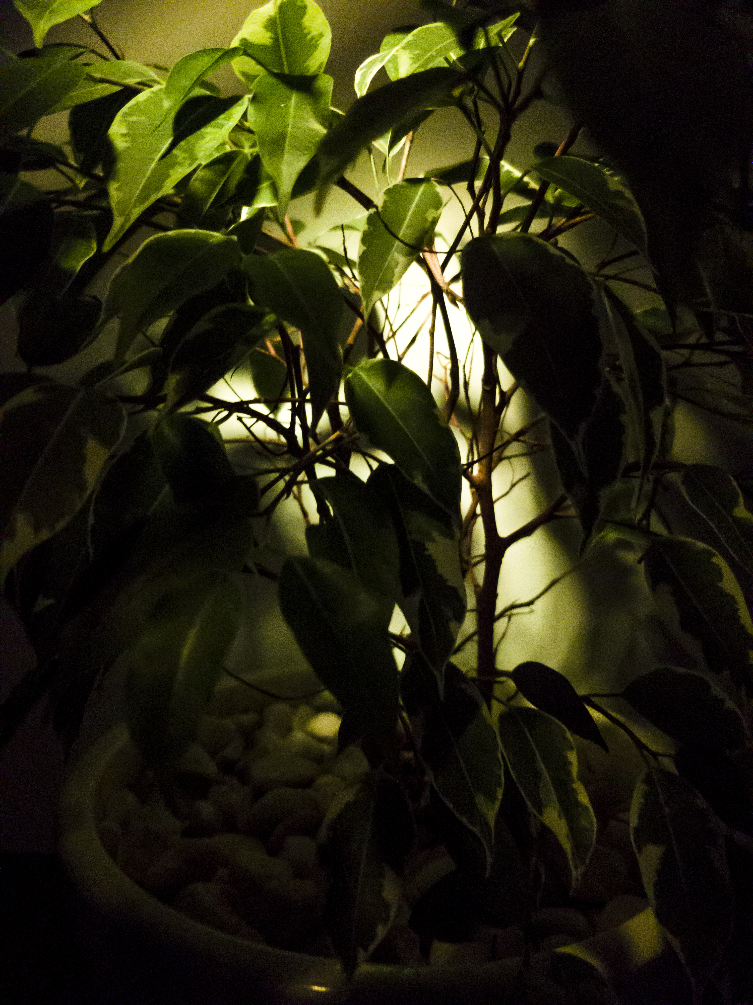 Portable Led Projector for Light Effects : 6 Steps (with Pictures ...