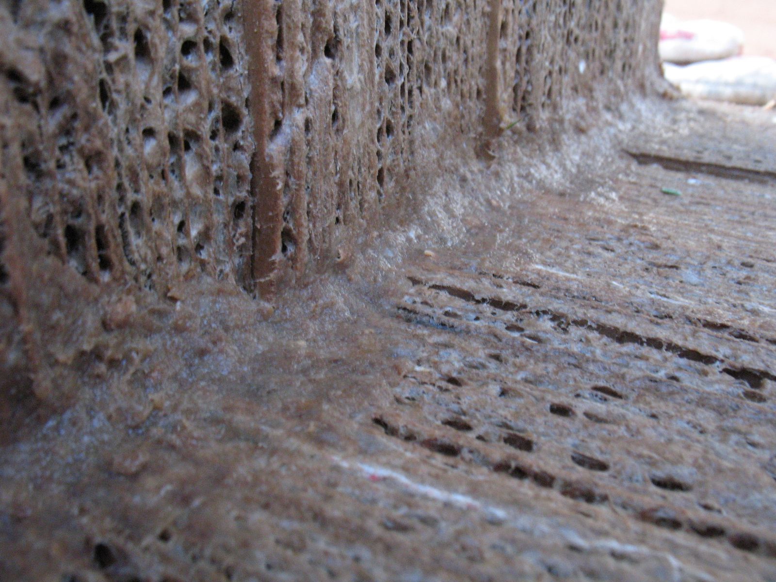 Cardboard Lumber : 10 Steps (with Pictures) - Instructables