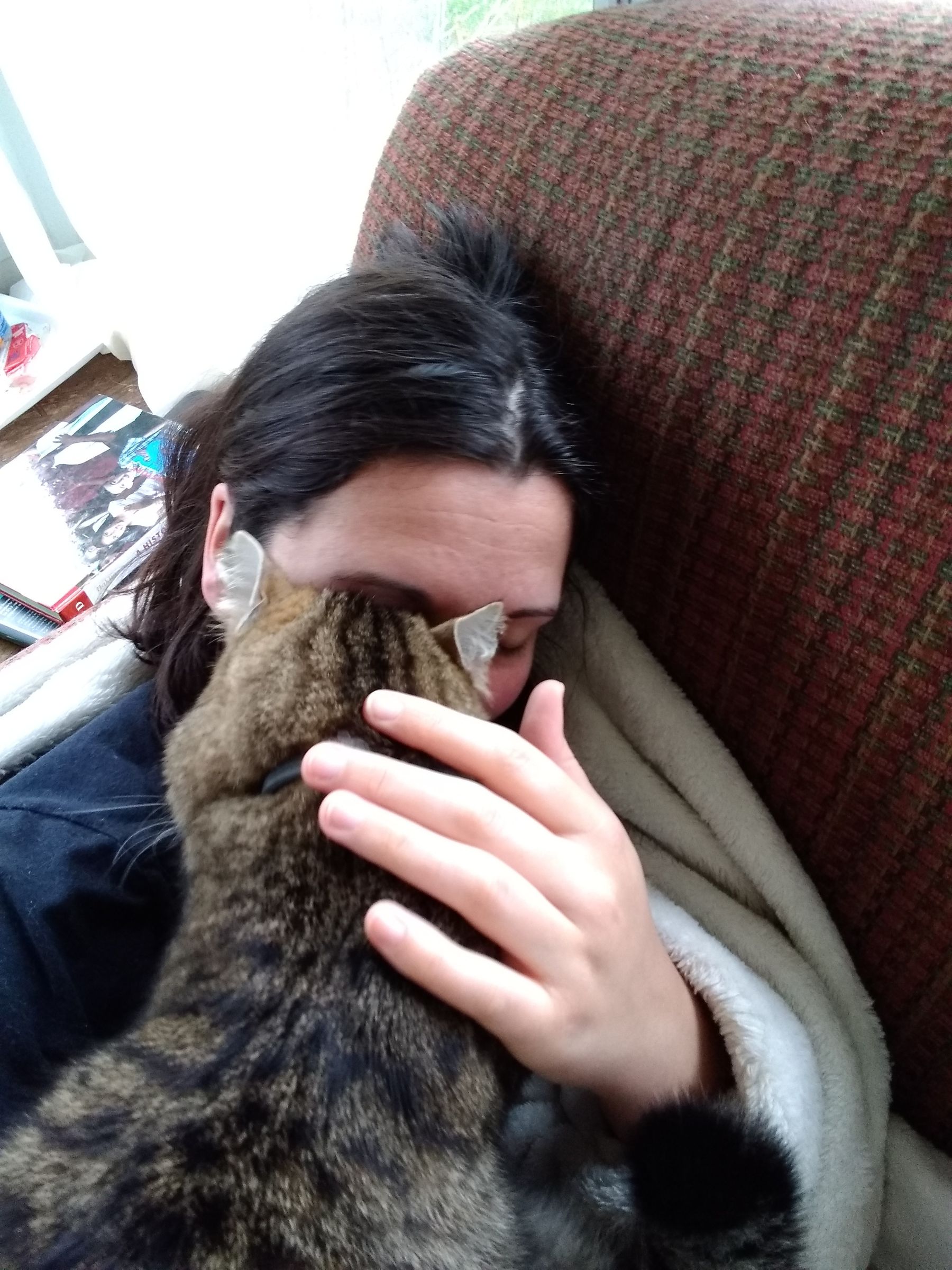 How To: Lull Your Cat to Sleep : 14 Steps (with Pictures) - Instructables