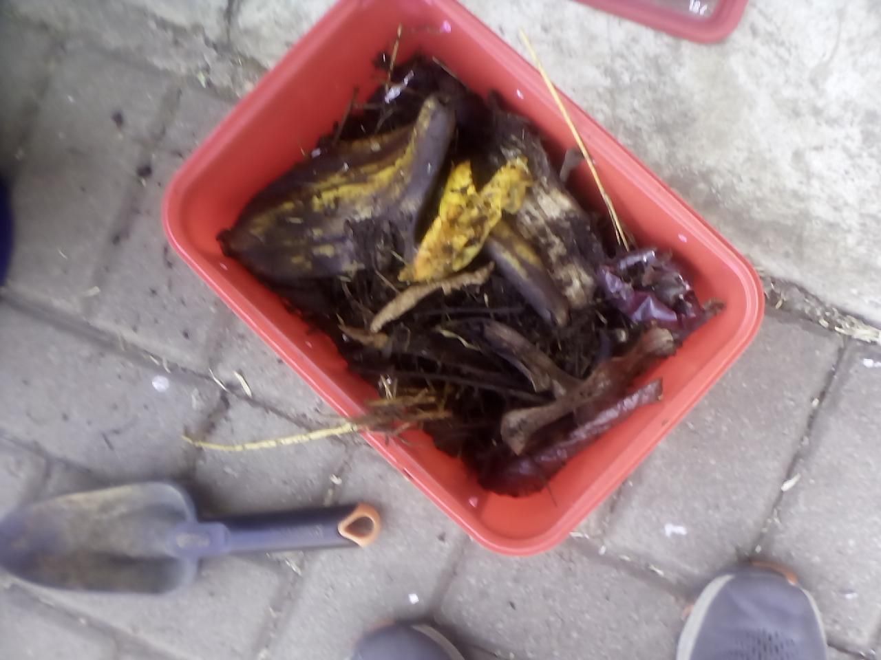 How to Make a Mini Wormery Out of Ice Cream Containers : 6 Steps ...