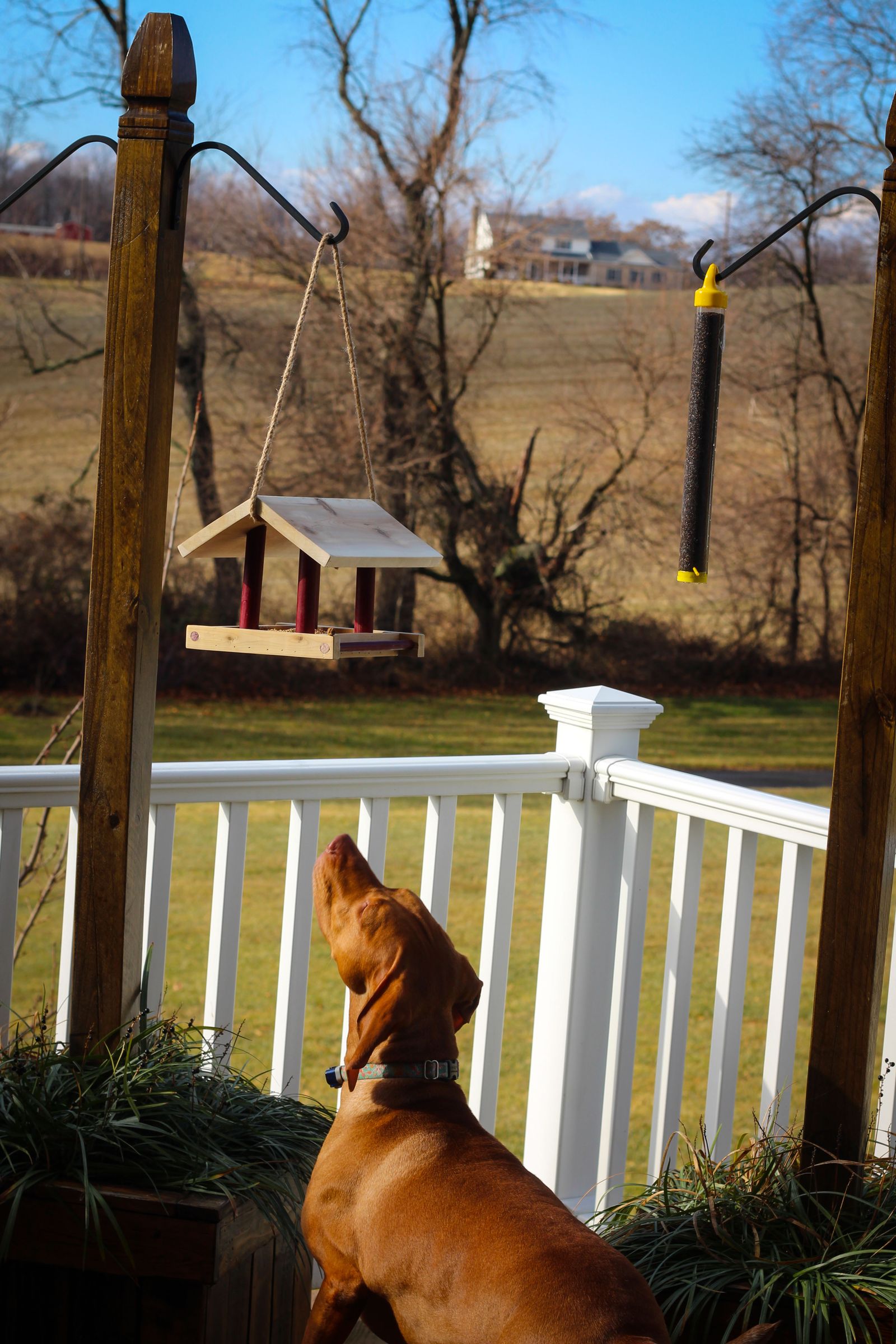 Simple Bird Feeder : 16 Steps (with Pictures) - Instructables
