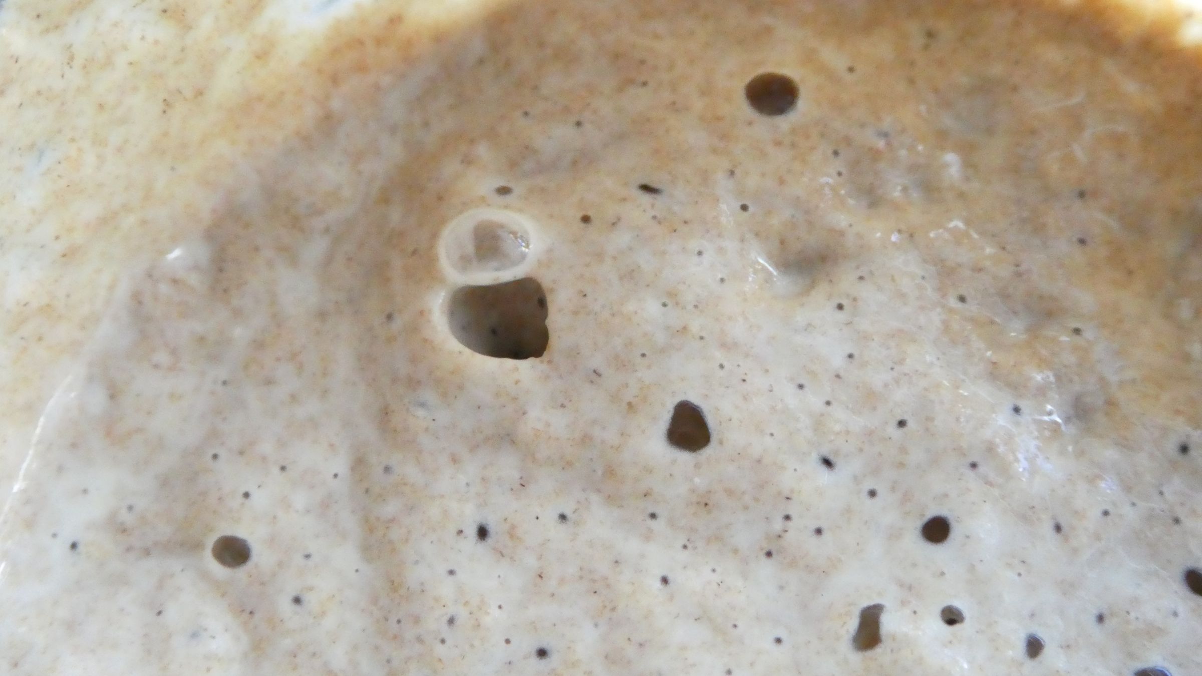 Pure Rye Bread : 31 Steps (with Pictures) - Instructables
