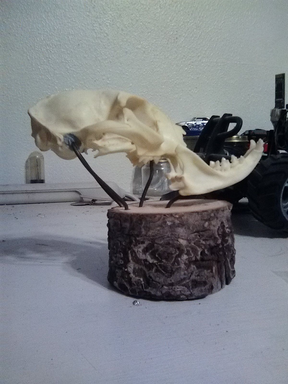 DIY Skull Mount With Reclaimed Materials : 6 Steps (with Pictures ...