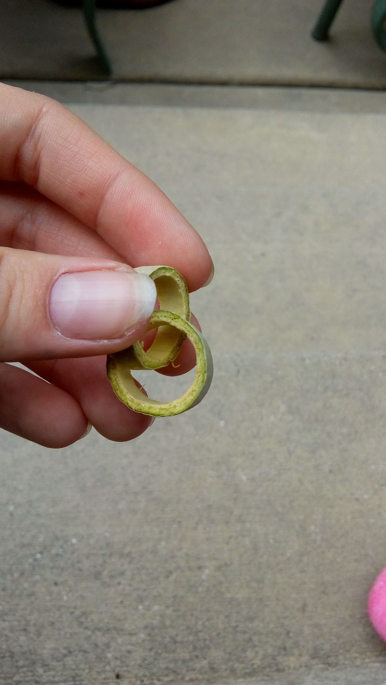 Tree Bark Rings : 5 Steps (with Pictures) - Instructables